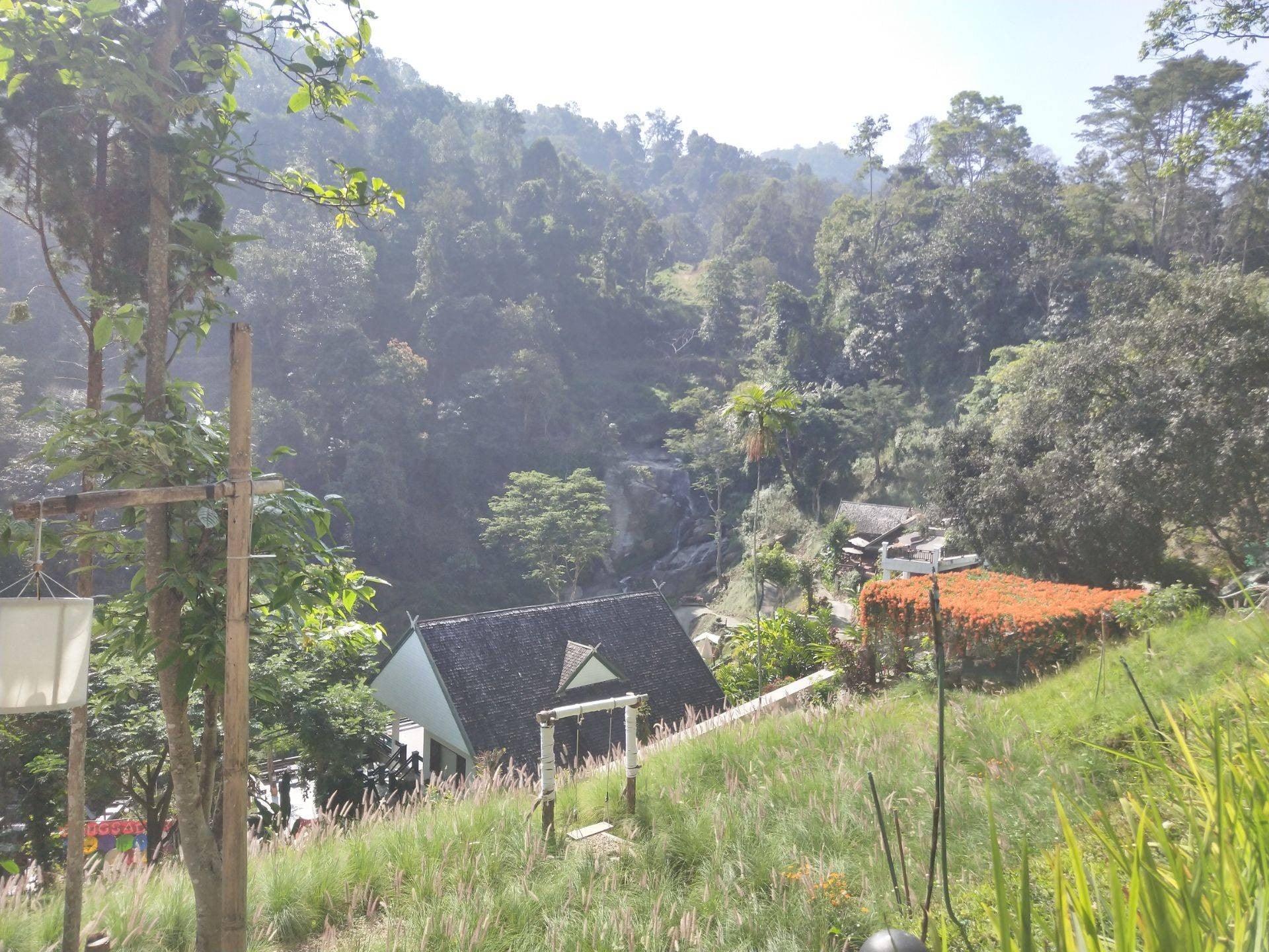 รูป Wtf Coffee Camp