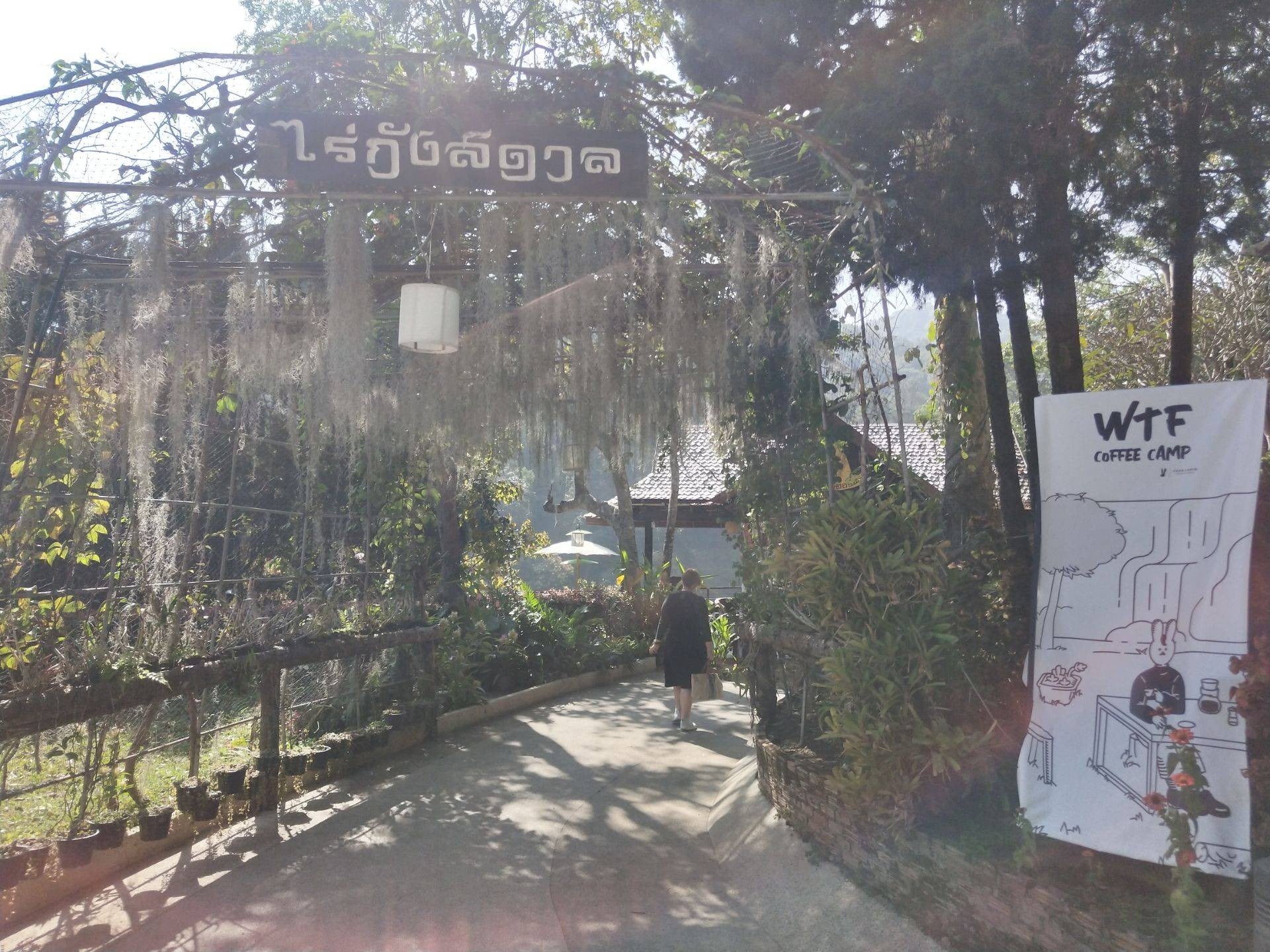 รีวิว Wtf Coffee Camp - บรรยากาศดีวิวสวย