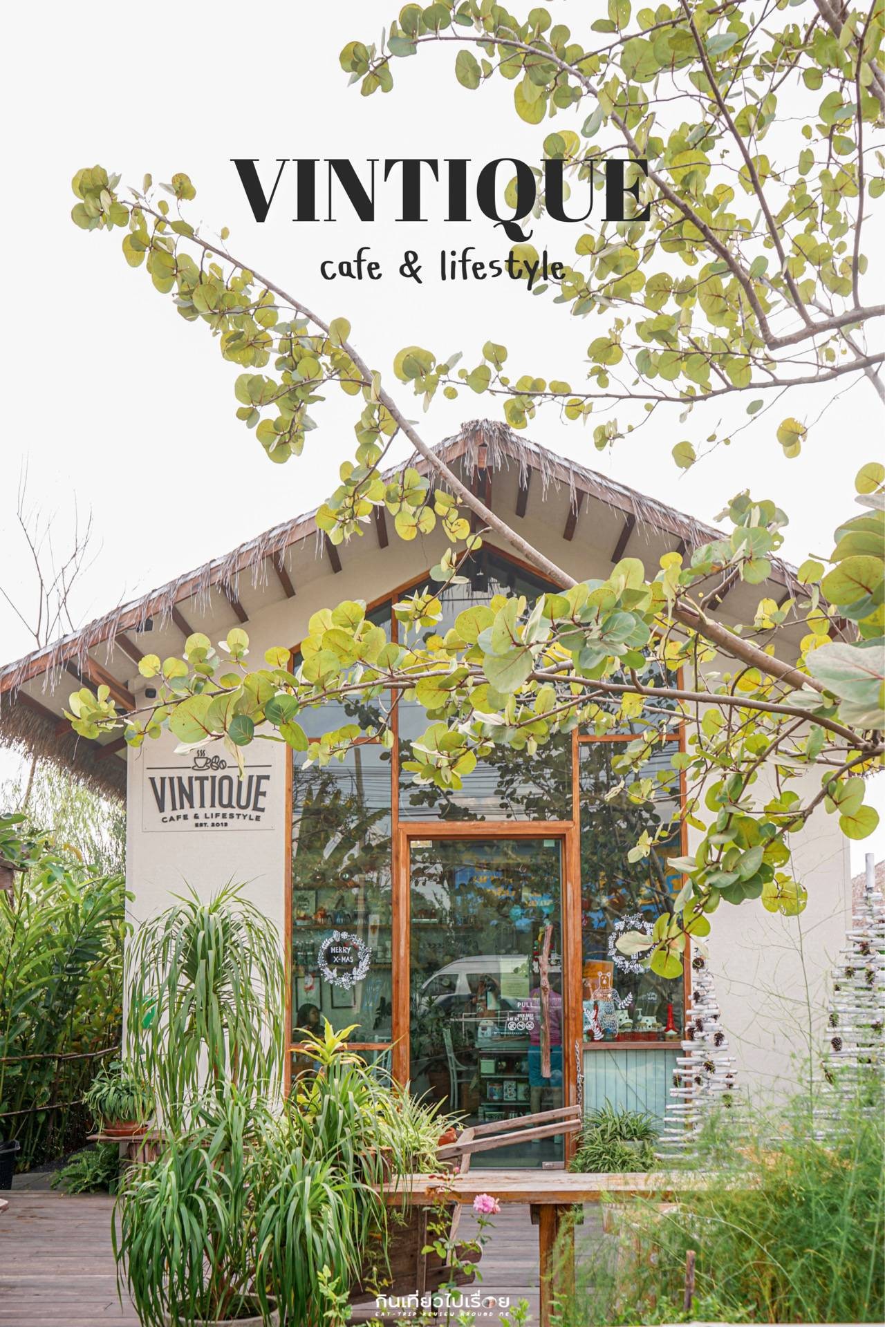 รีวิว Vintique Cafe & Lifestyle - 🍃 คาเฟ่ริมท้องนา ของตกแต่งวินเทจเพียบบ