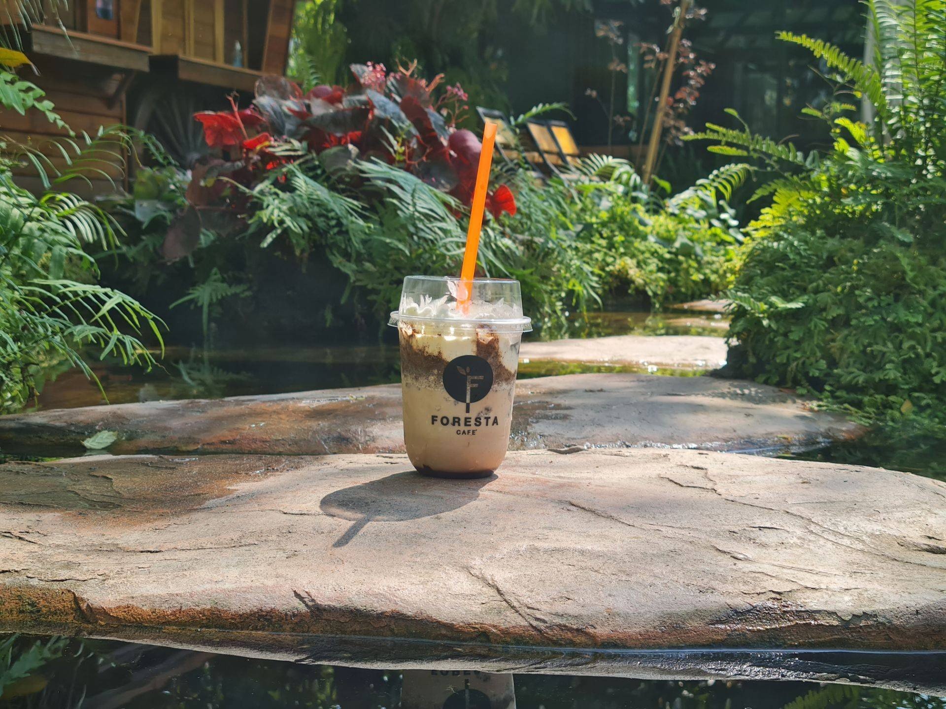 รูป FORESTA CAFE ดอนเมือง - Wongnai