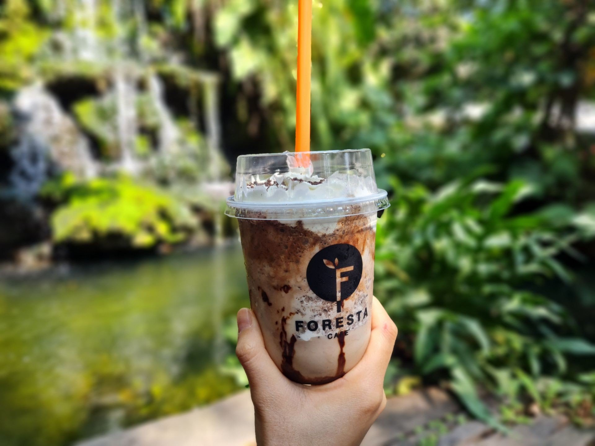 รูป FORESTA CAFE ดอนเมือง