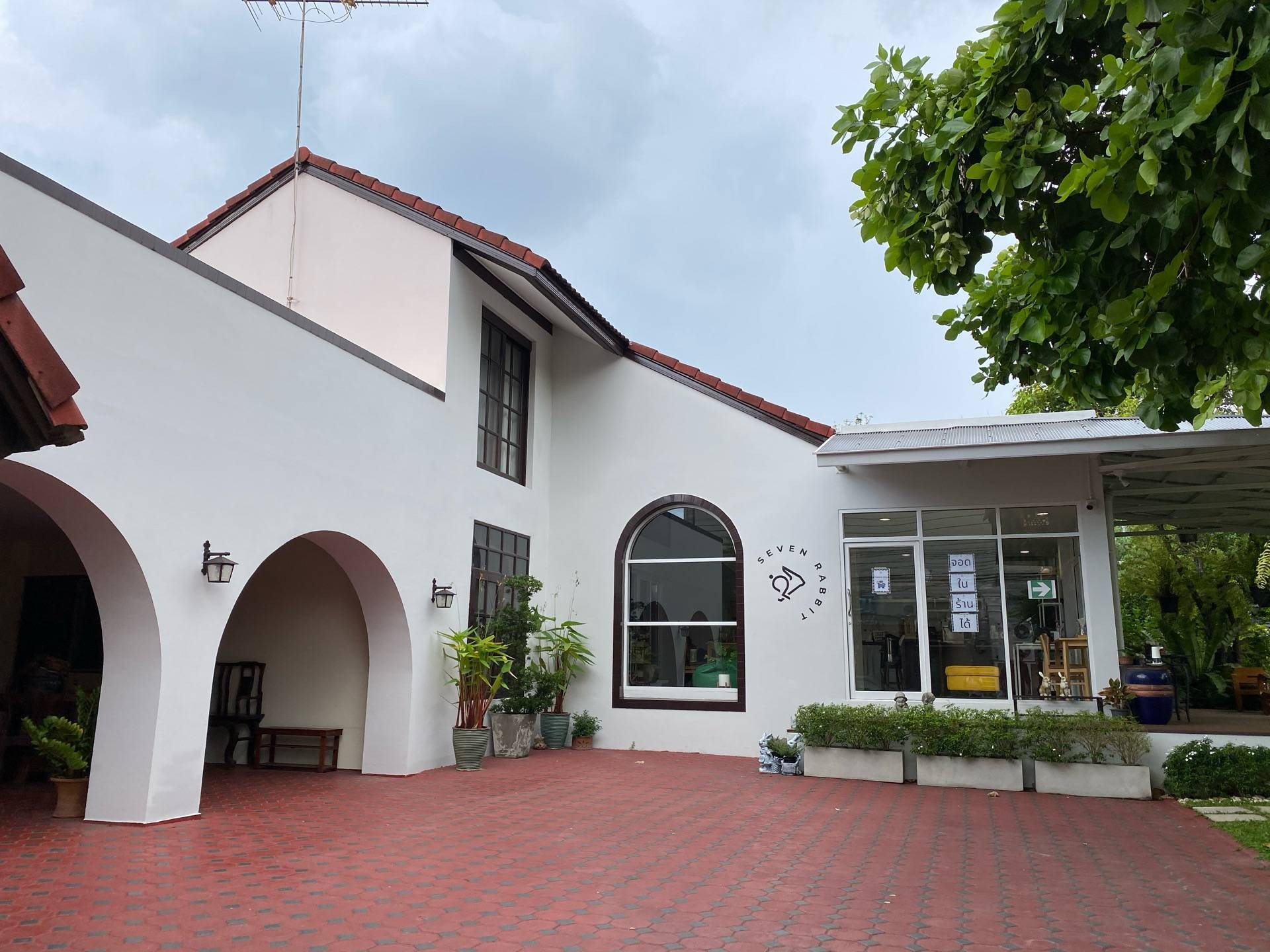 รีวิว Seven Rabbit Coffee & Tea Pattanakarn 53 - มีความเขียวชอุ่ม - Wongnai