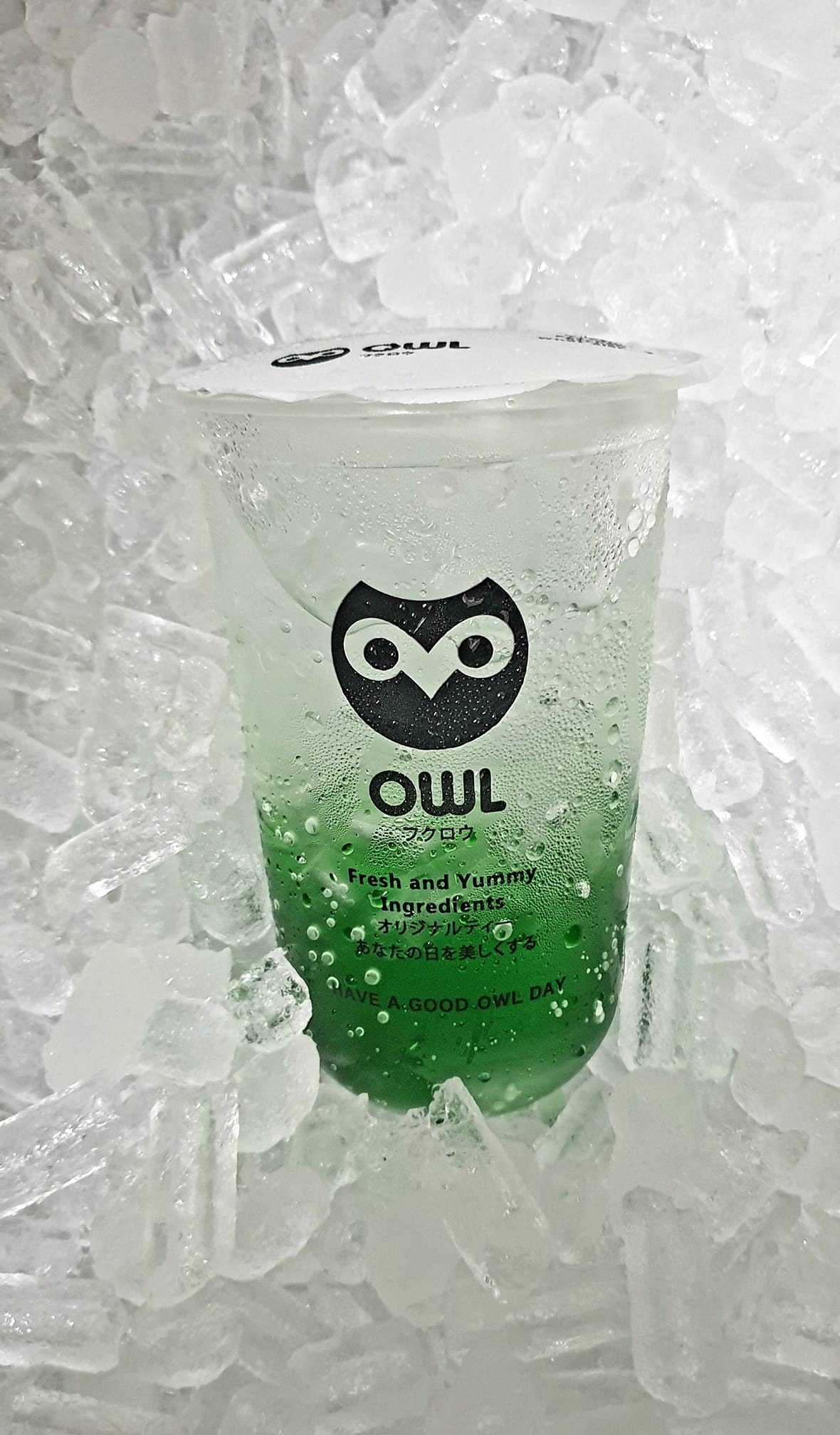 ร้าน Owl Cha มหาลัยราชภัฏสงขลา | รีวิวร้านอาหาร