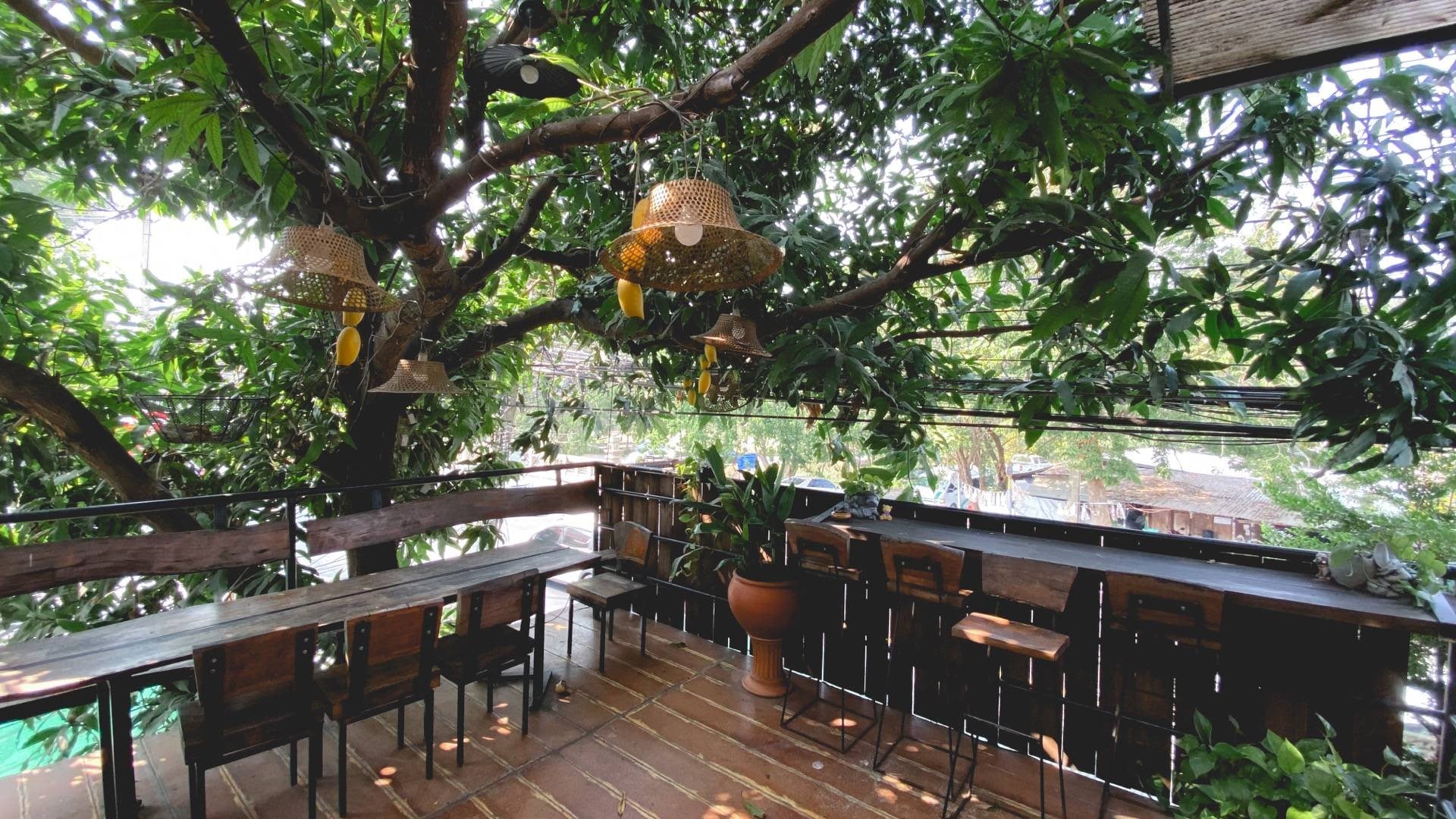รูป Ton Mamuang Cafe Food & Dessert (ต้นมะม่วง คาเฟ่)