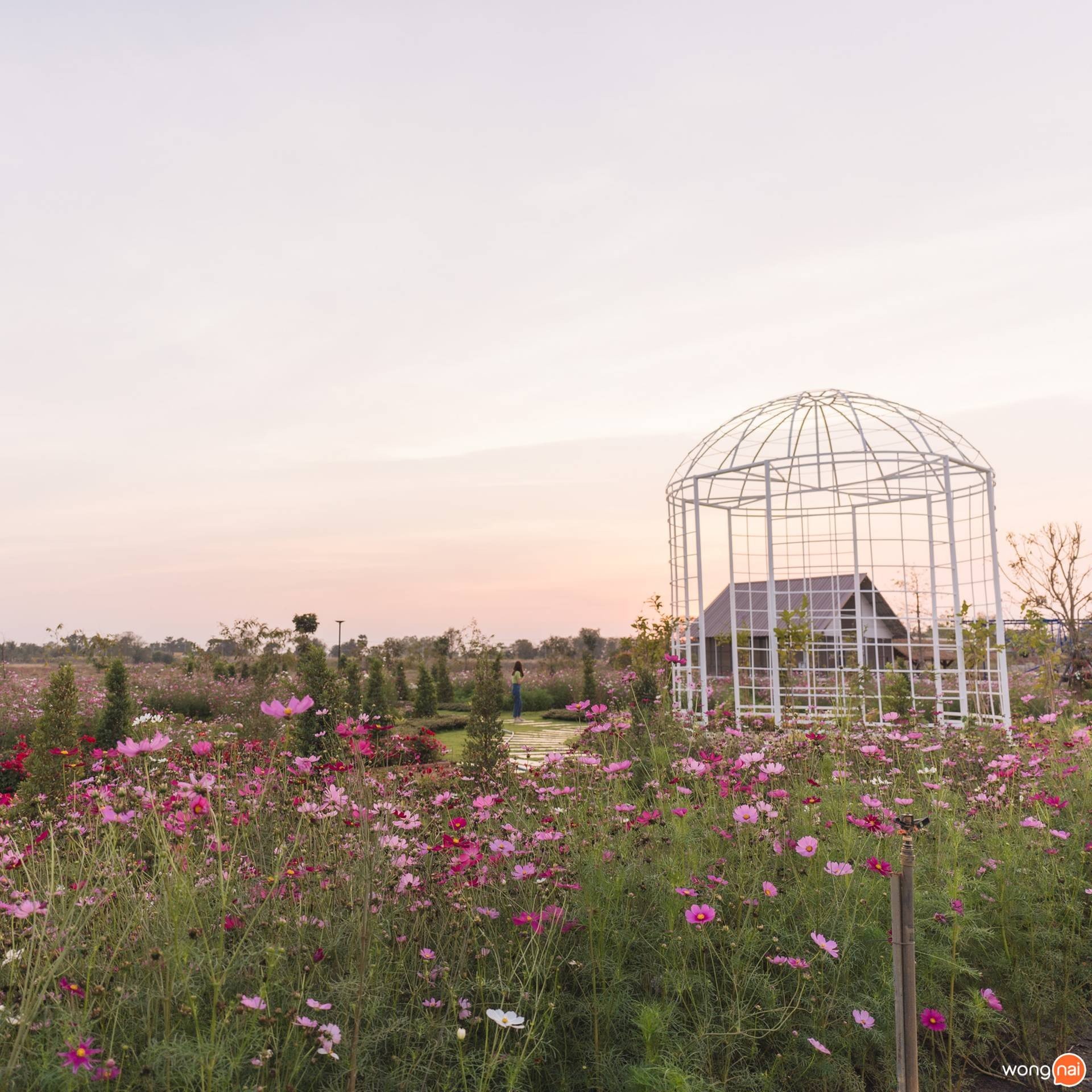 รูป P.Garden cafe พีการ์เด้นคาเฟ่ อุทัยธานี