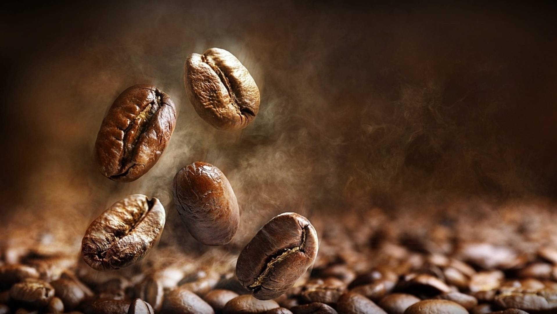 ร้าน Coffee Bell | รีวิวร้านอาหาร