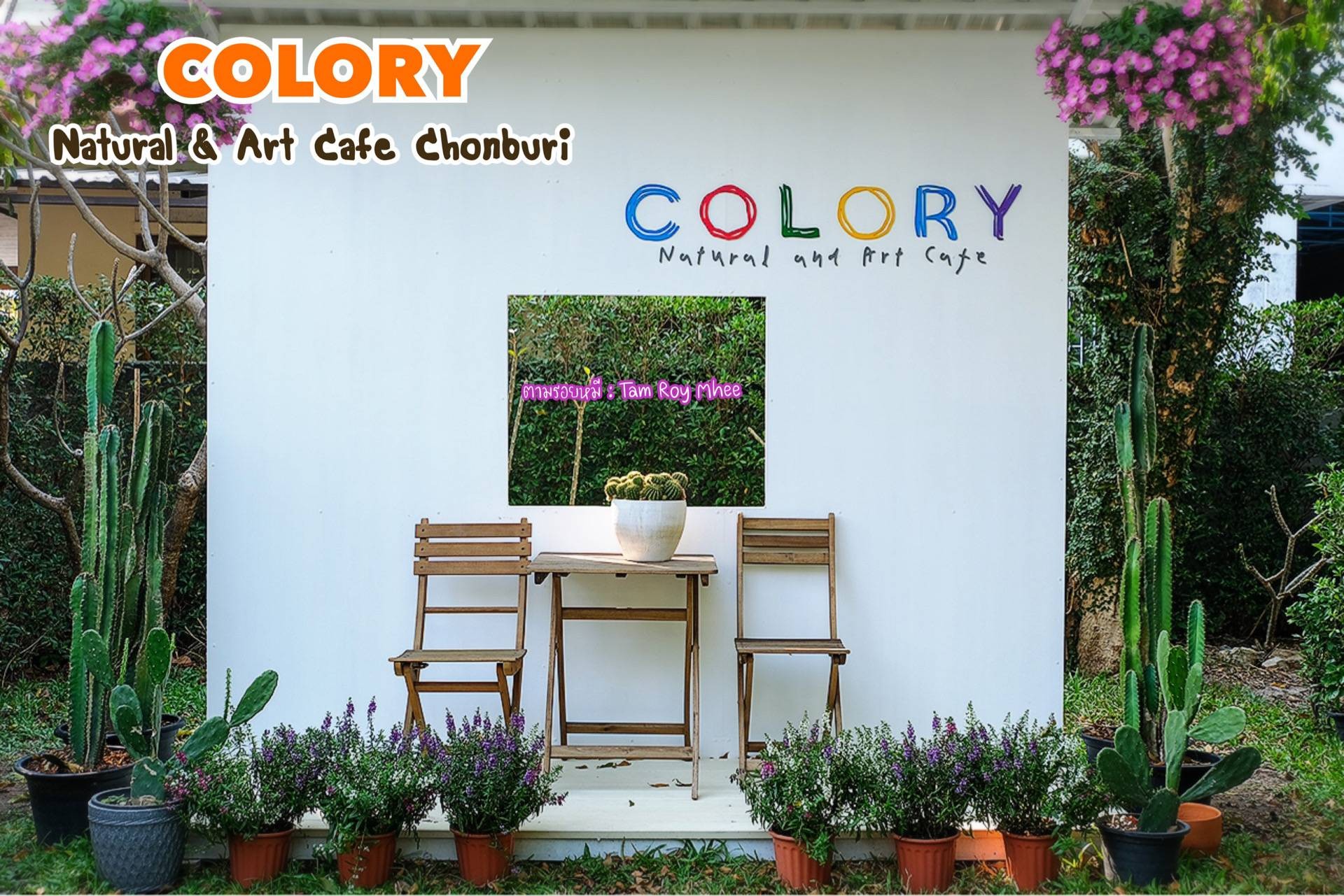 รูป Colory Cafe