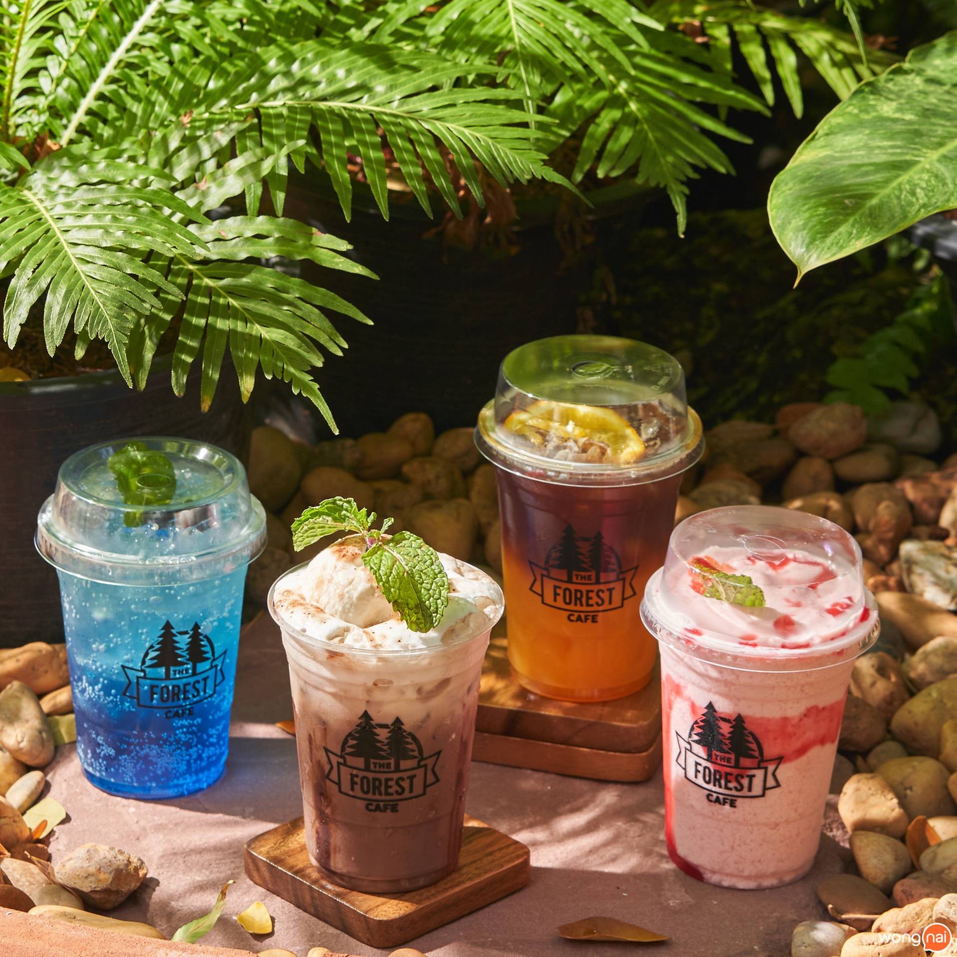 รูป The Forest Cafe 1 กาแฟในสวน - Wongnai