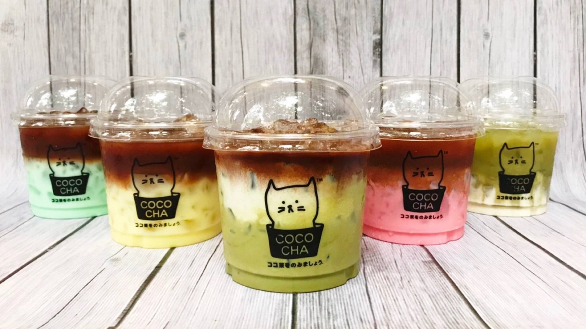 COCO CHA - สั่งอาหารเดลิเวอรี | Wongnai x LINE MAN