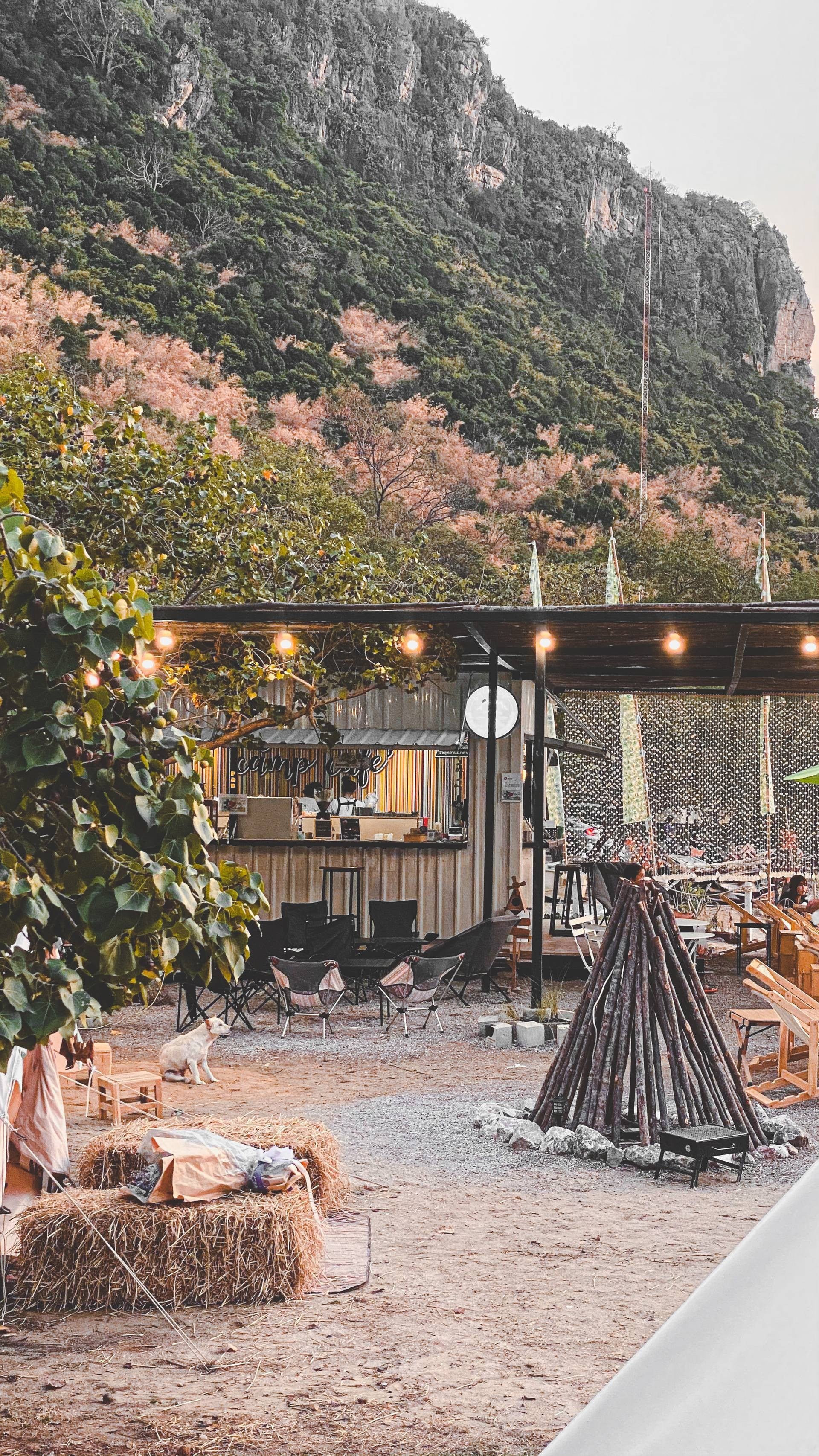 ร้าน Bay Camp Cafe’ | รีวิวร้านอาหาร - Wongnai