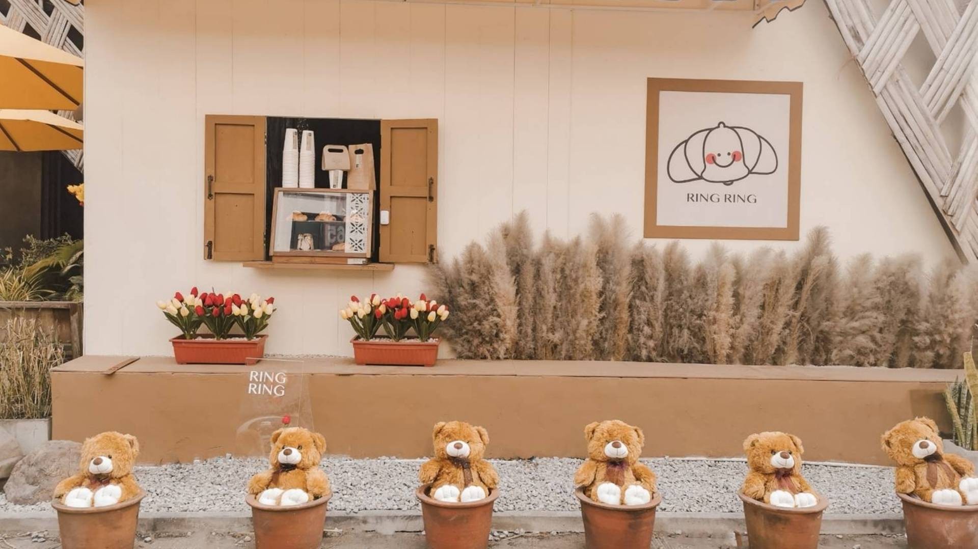 ริง ริง Ring Ring Cafe and Bistro นิมมานเหมินท์ - สั่งอาหารเดลิเวอรี | Wongnai x LINE MAN