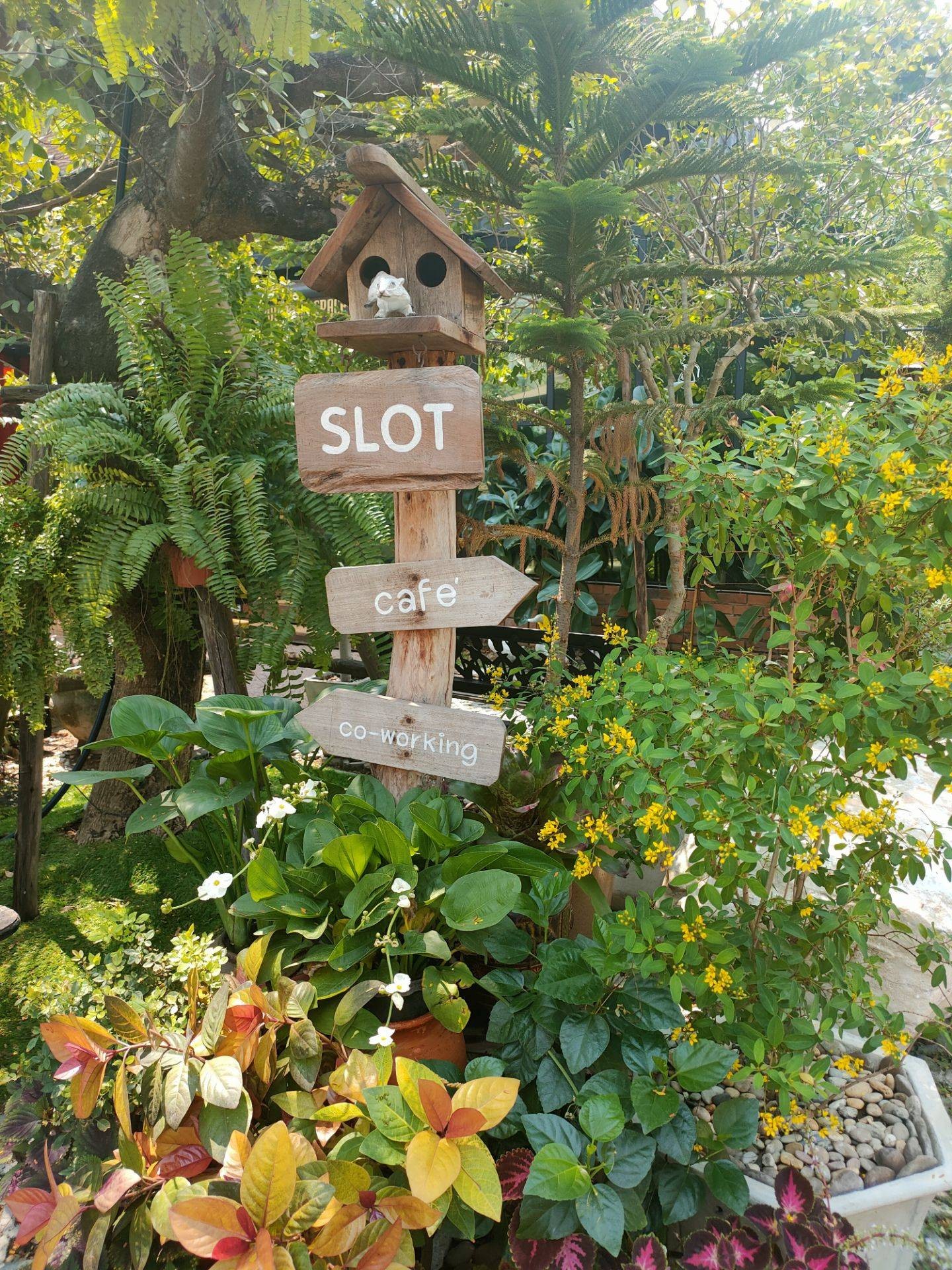 รีวิว Slot Cafe - - แวะพักช่วงกลางวัน