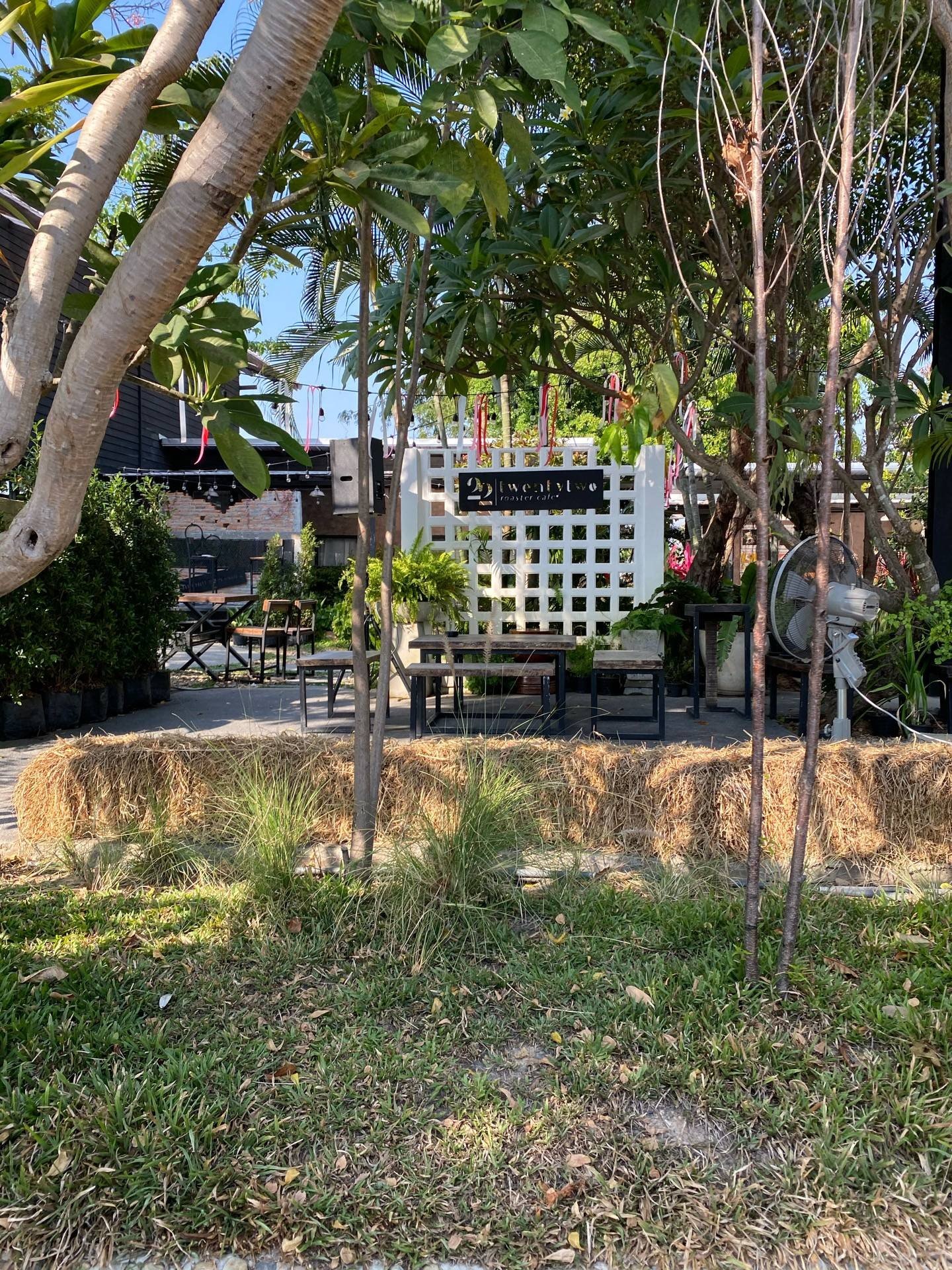 รีวิว 22 TWENTY TWO CAFE TWENTY TWO CAFE - 🐷อ้วนตะลุยกิน🍴 ตอน ร้านนั่ง ...