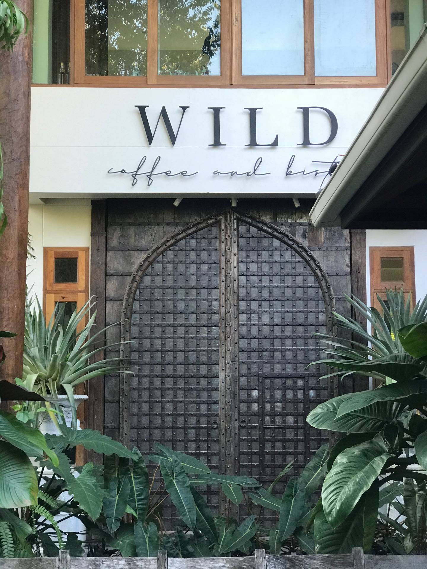 รีวิว Wild Coffee & Bistro - คาเฟ่ลึกลับที่เหมือนหลงเข้ามาในป่า 🥺🥰 ...