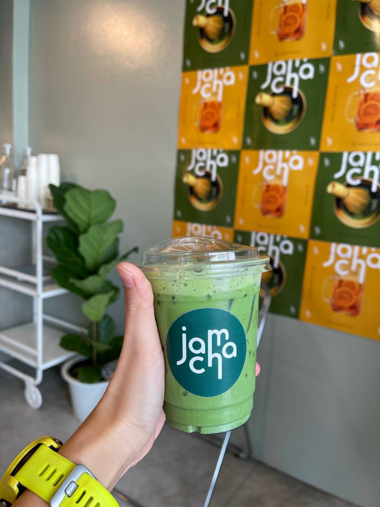 รีวิว Jamcha Hatyai - คาเฟ่ชาเขียวพรีเมียม