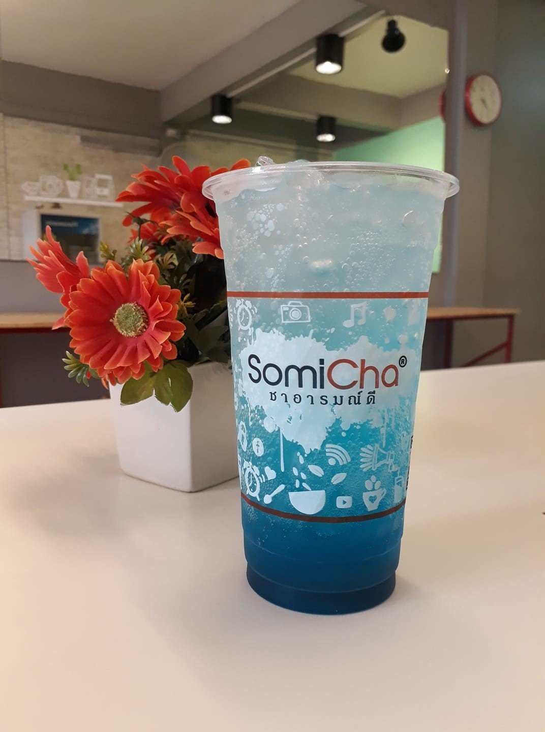 ร้าน Somicha | รีวิวร้านอาหาร