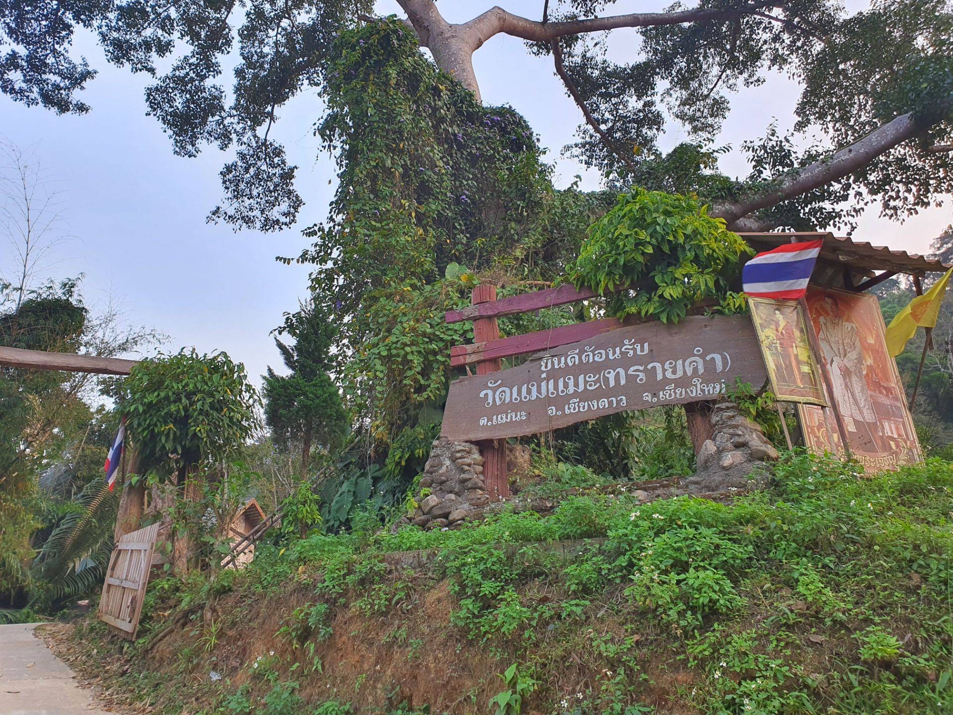 รูป วัดแม่แมะ ทรายคำ