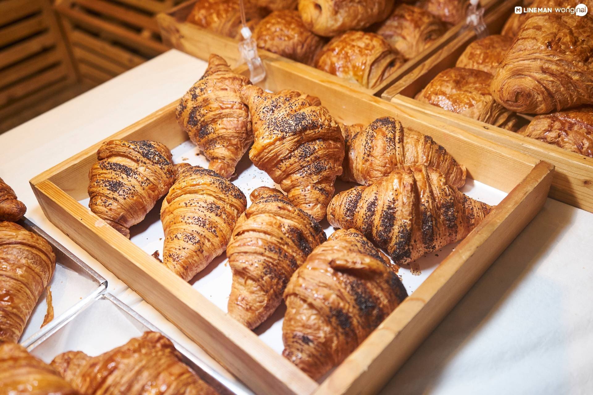 [รีวิว] Conkey's Bakery ร้านเบเกอรีแสนอบอุ่น ที่ขายความสุขด้วยขนมปัง