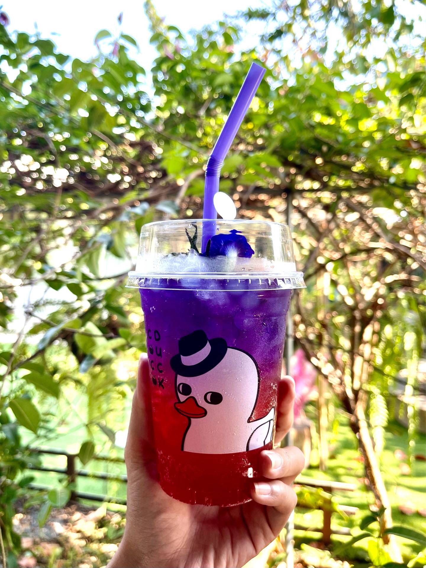 รีวิว Coco Duck Cafe - Coco Duck : เจ้าเป็ดแห่งความอร่อย - Wongnai