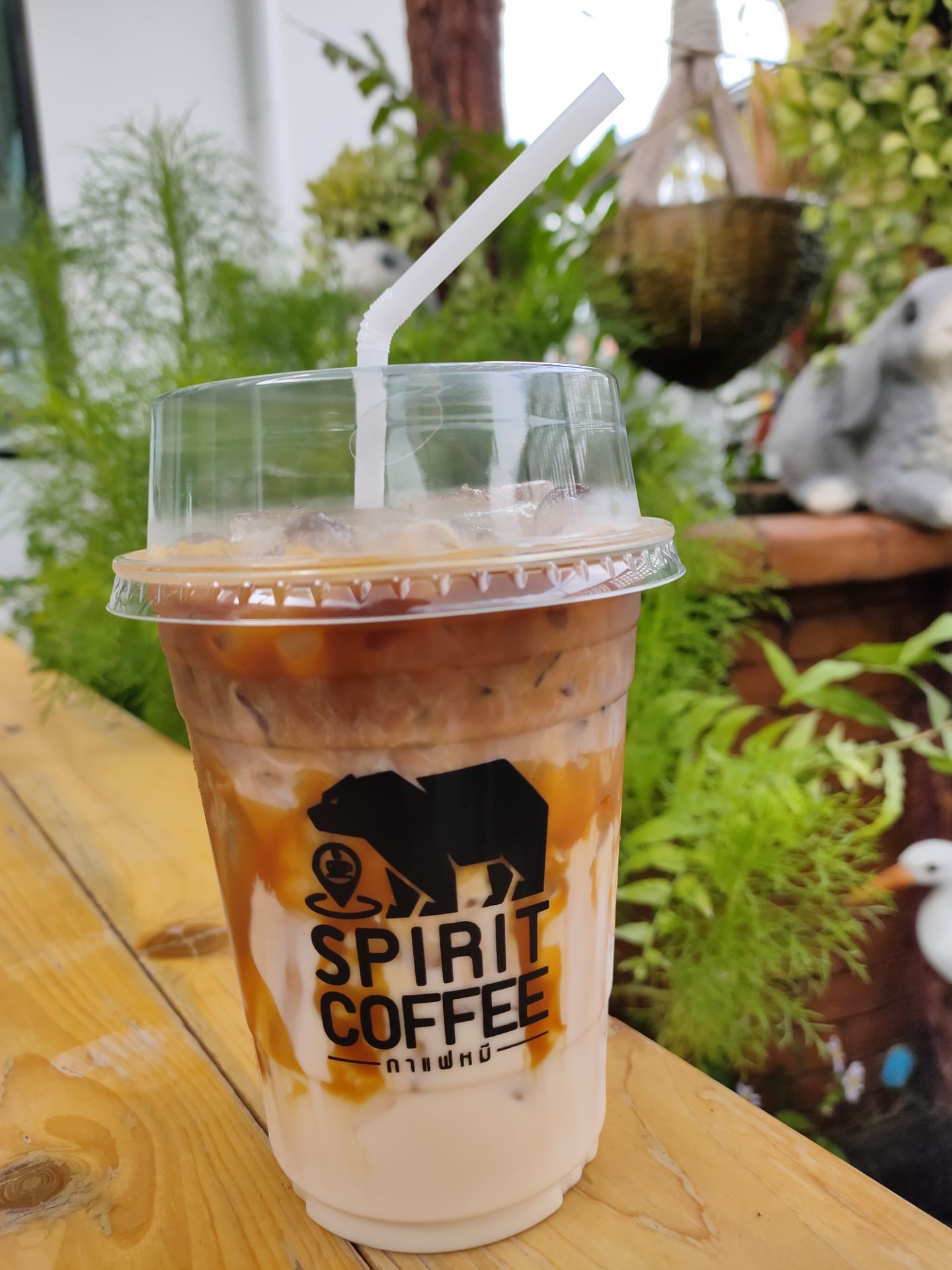 รีวิว กาแฟหมี SPIRIT COFFEE สาขา Complete Plaza - ร้านกาแฟ spirit coffee