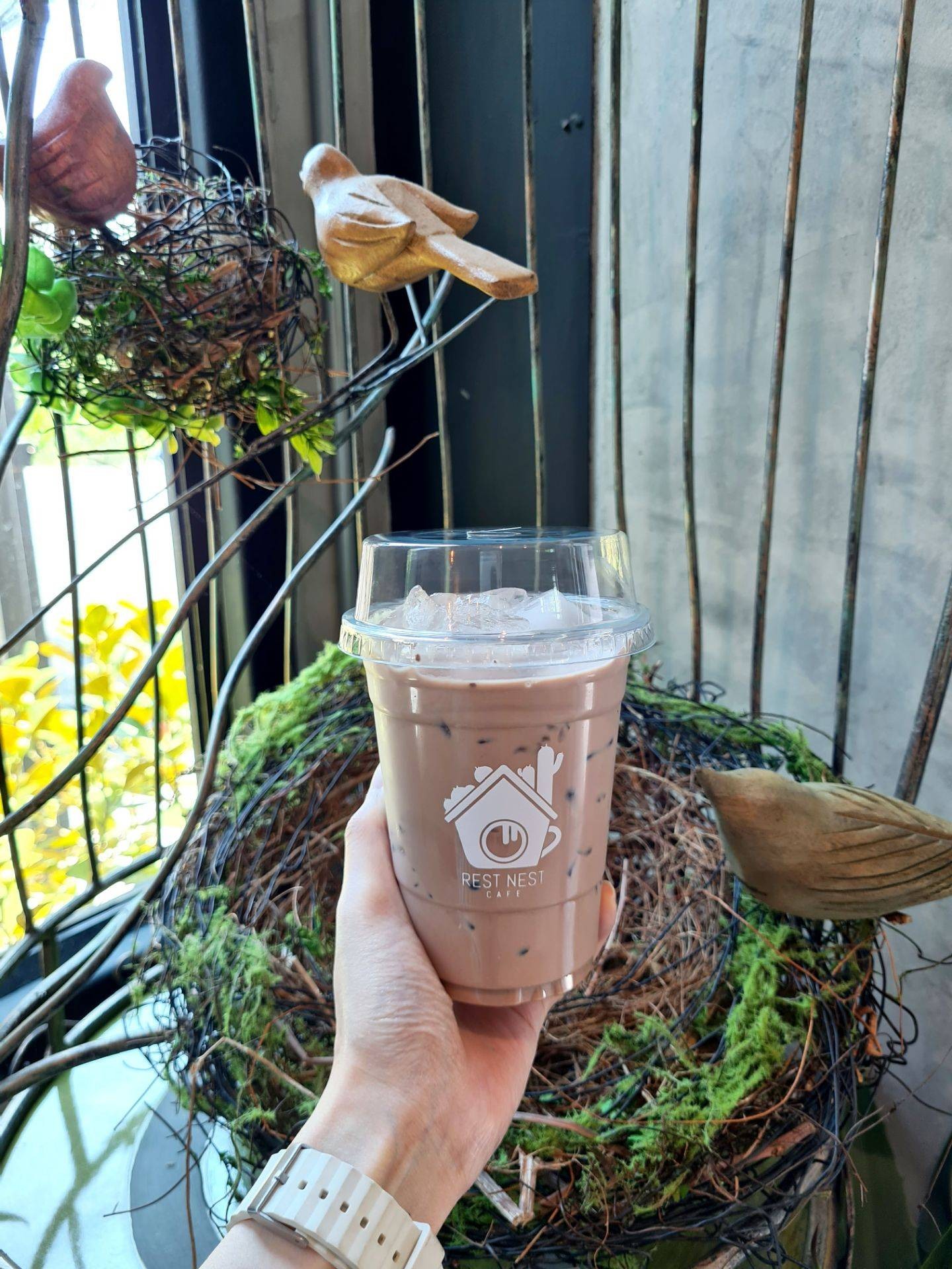 รีวิว Rest Nest Cafe - อีกคาเฟ่บรรยากาศดีในซอยลาดพร้าว 93