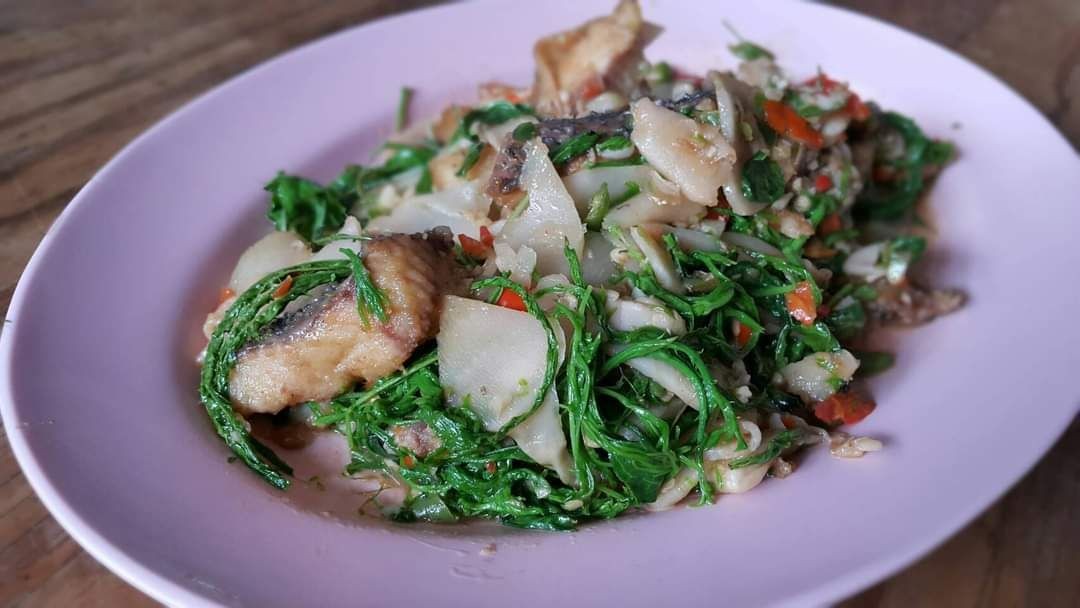ปลาช่อนผัดกระเพาชะอมหน่อไม้ดอง • image ร้าน ครัวลูกปลา