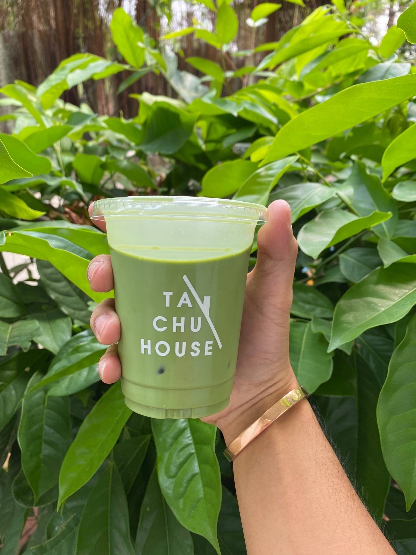 Ice Okumidori Yame ( กลิ่นออกถั่ว สาหร่ายเบาๆ หอม รสชาติเข้มข้น ) • image ร้าน Tachuhouse ตาชูเฮ้าส์