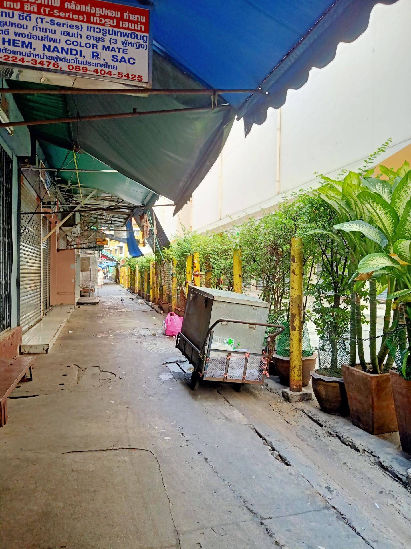 รีวิว Royal Rasoi Royal Rasoi - มาซื้อขนมเตรียมก่อนวันฉลองประสูติพระแม่ ...