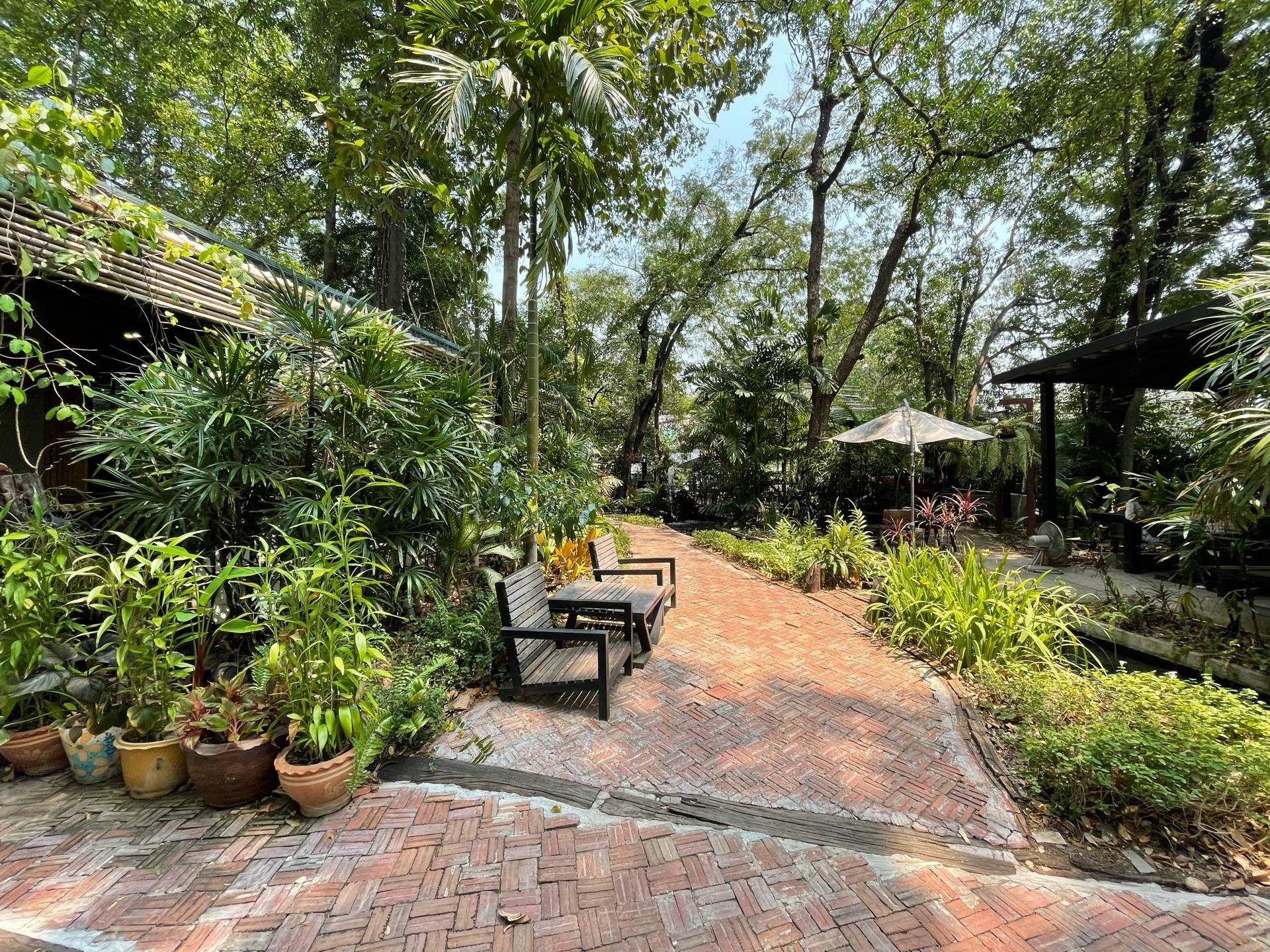 รูป Cafe de' Forest สำนักงานป่าไม้