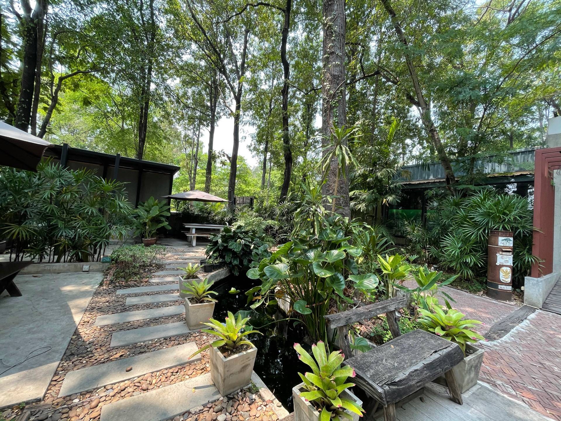 รูป Cafe de' Forest สำนักงานป่าไม้