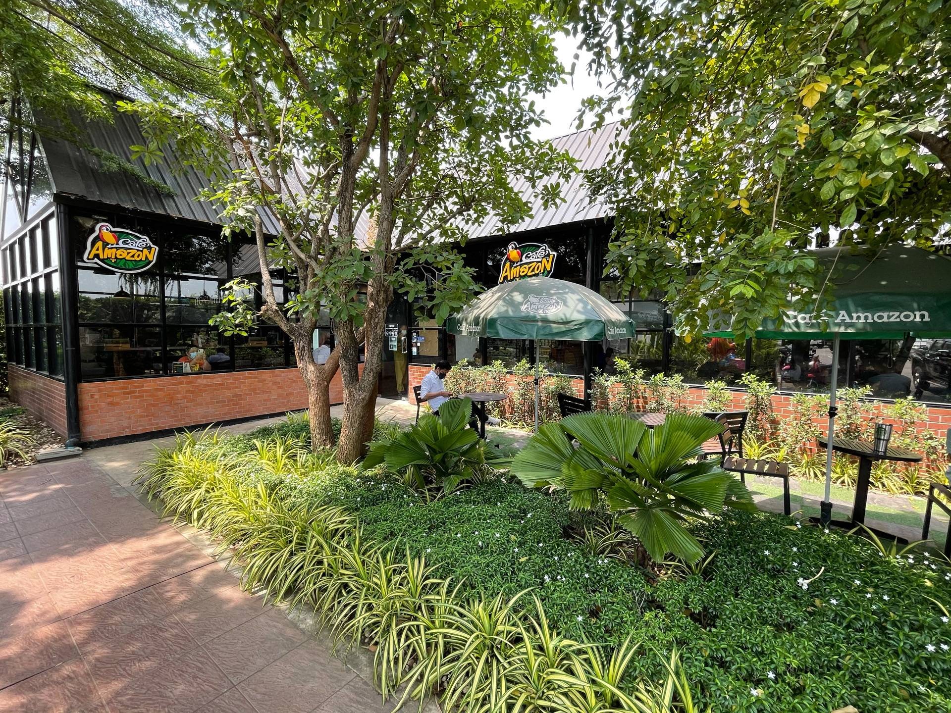 รีวิว Café Amazon - DD1520 สน.บจก.หมูทองออยล์ โชคชัย - แวะเติมความสดชื่น