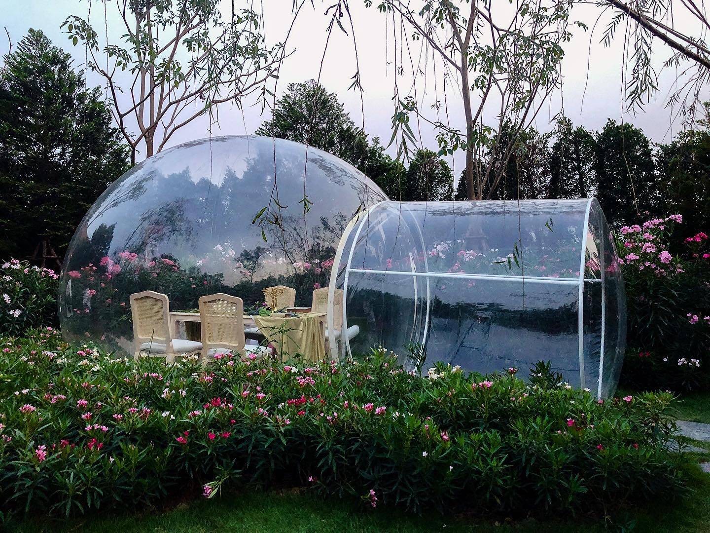 รีวิว Bubble in the forest cafe - บรรยากาศ มุมถ่ายรูป ดีเลยค่ะ