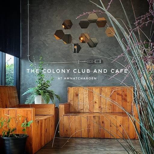 รีวิว The Colony Club & Cafe - มันดีมากจริงๆครับ
