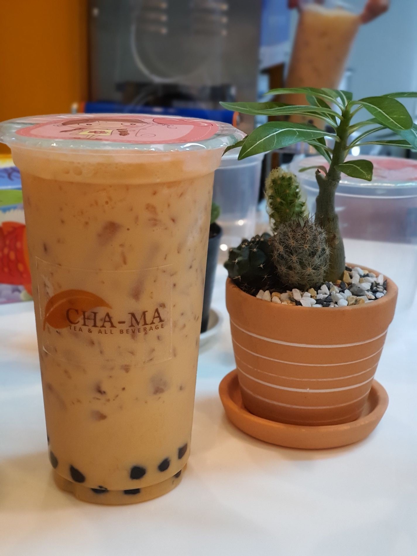 ร้าน ชามะ CHA-MA | รีวิวร้านอาหาร