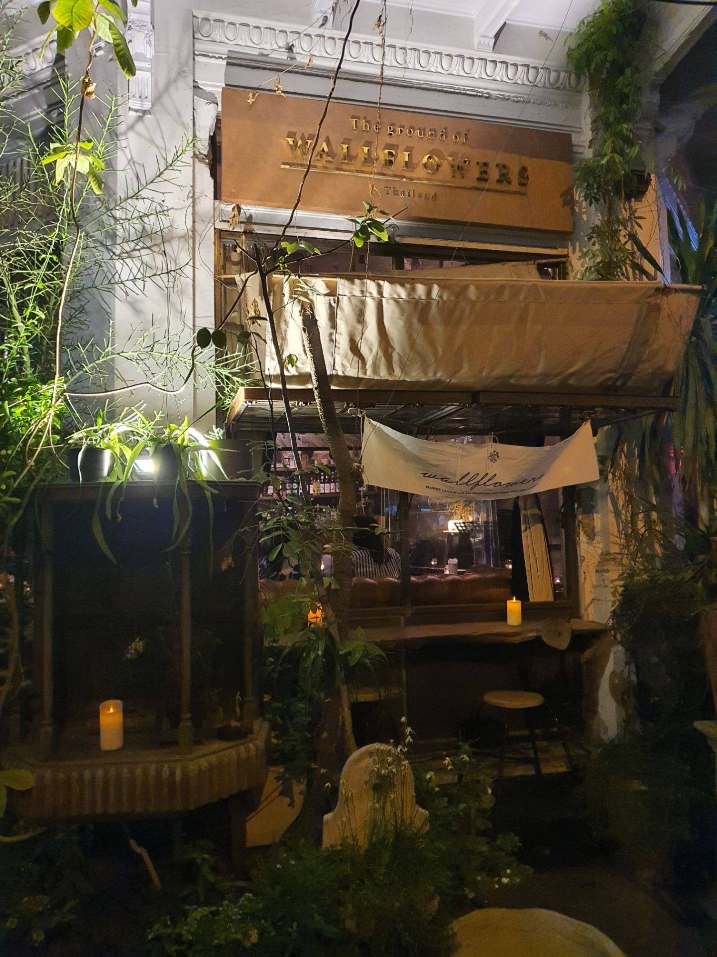 รีวิว Wallflowers วอลฟลาวเวอร์ - Wallflower cafe ยามค่ำคืน 🌚