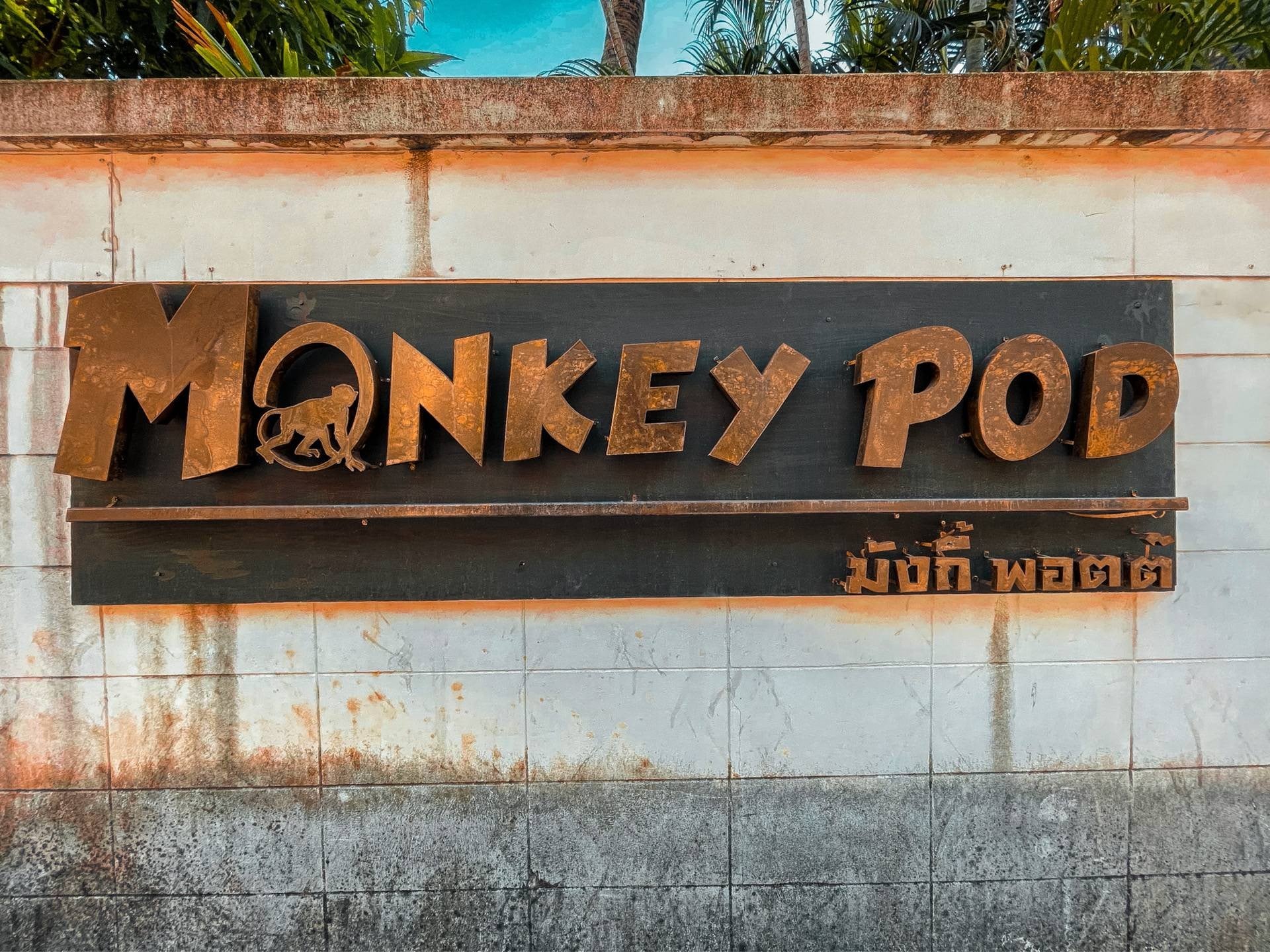 รีวิว Monkey POD - “Monkey Pod” ทาปาสบาร์สไตล์อีสาน อยู่ท่ามกลางสวนสวย ...