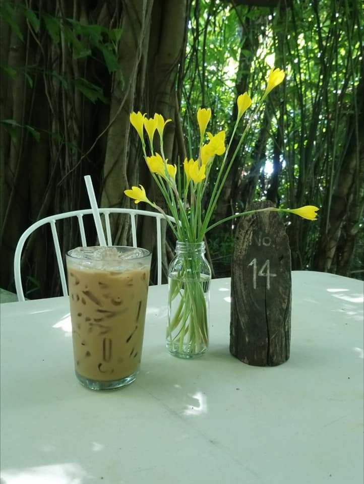 รีวิว Little Tree Garden บ้านใหม่ - ร้านบรรยากาศดีมากกก