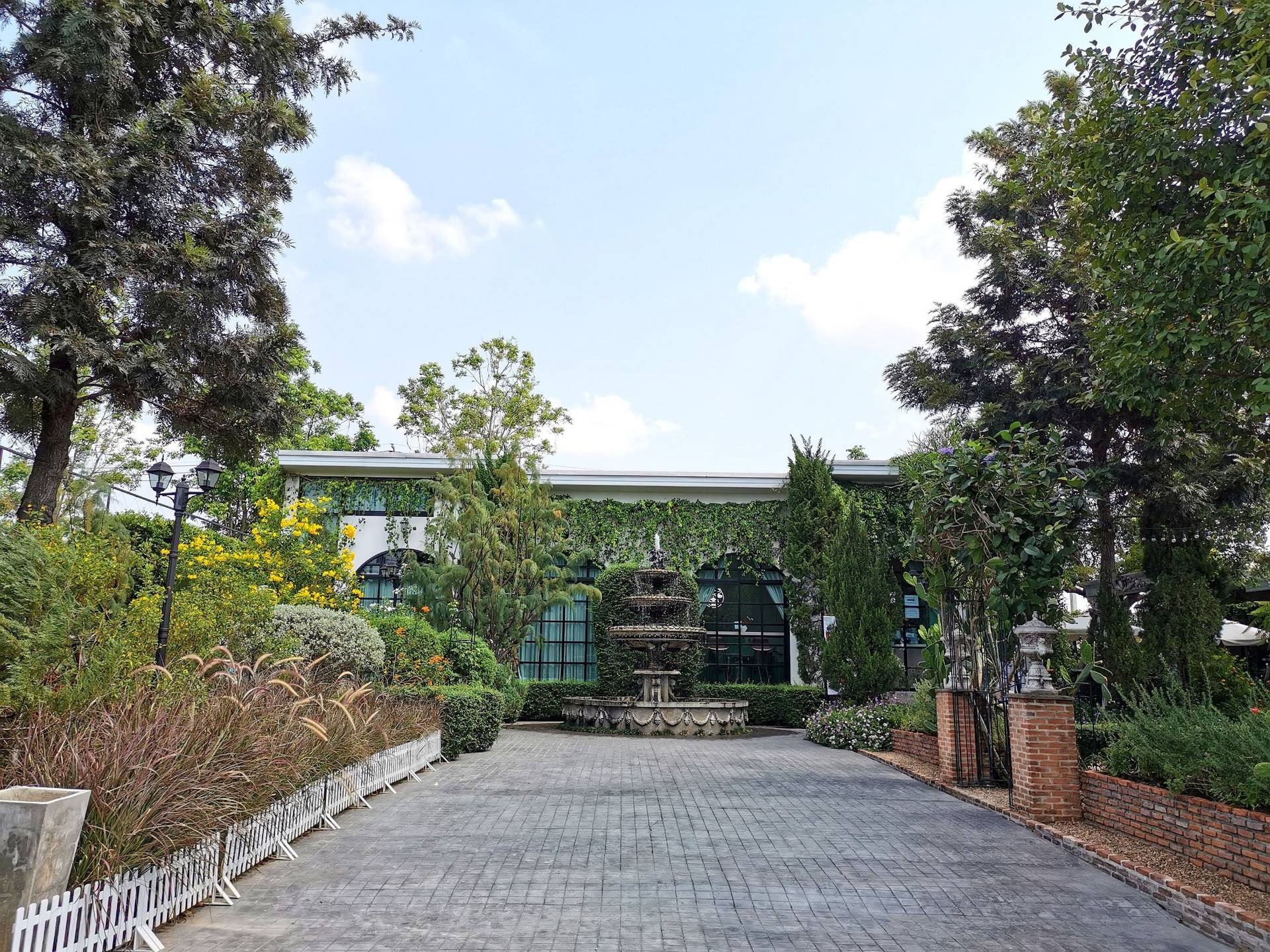 รีวิว Misstar Cafe by Davika - ร้านสวย ควรจัดเต็มเพื่อมาถ่ายรูป