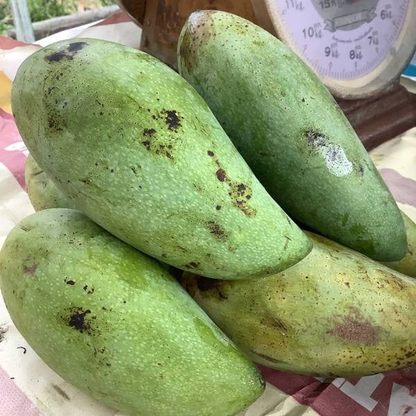 รีวิว 786 ปัตตานี ริมน้ำ - จุดนัดพบ เร็วนี้