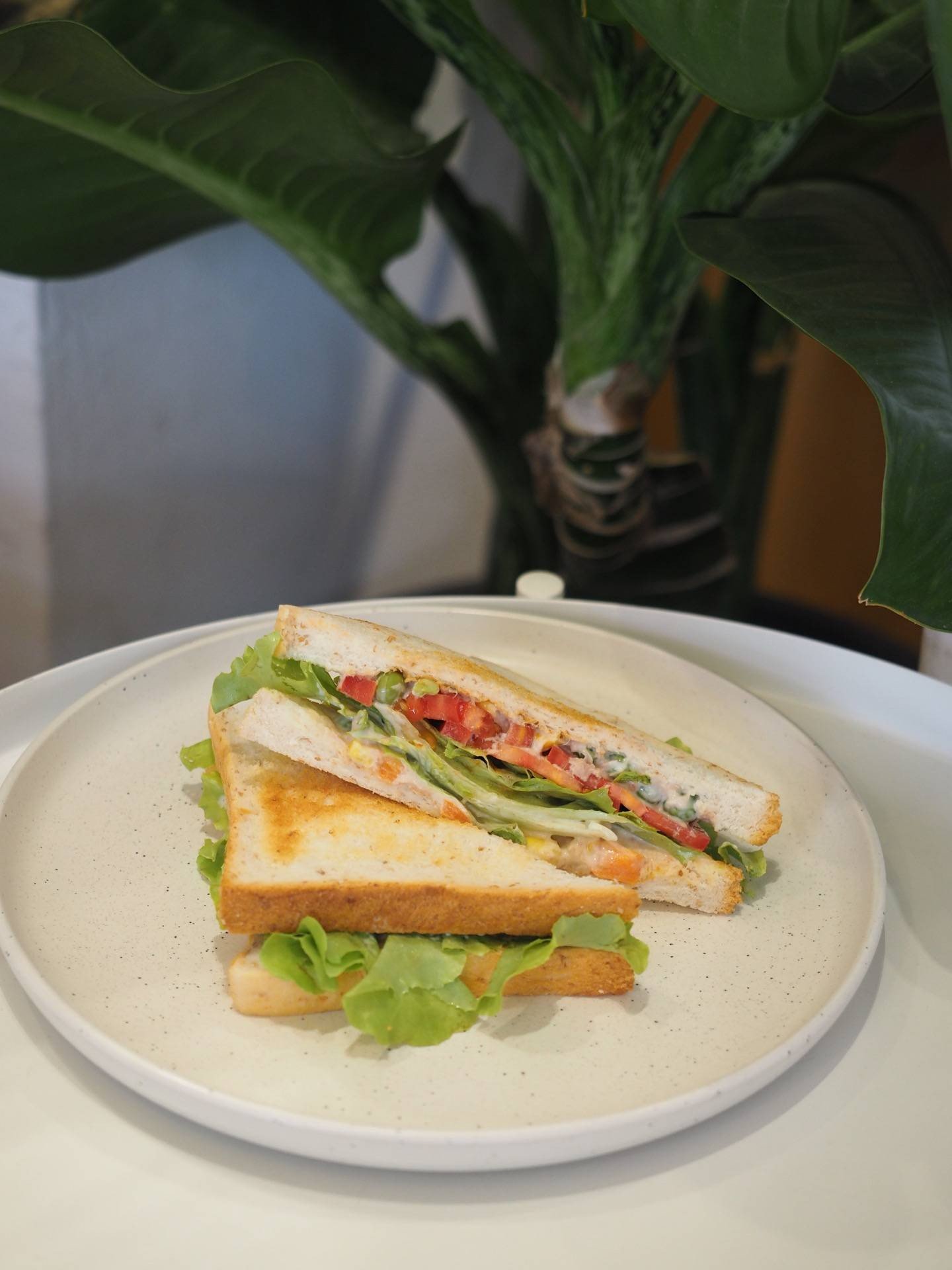 รูป เมล็ด MaLet's Cafe เมล็ด MaLet's Cafe