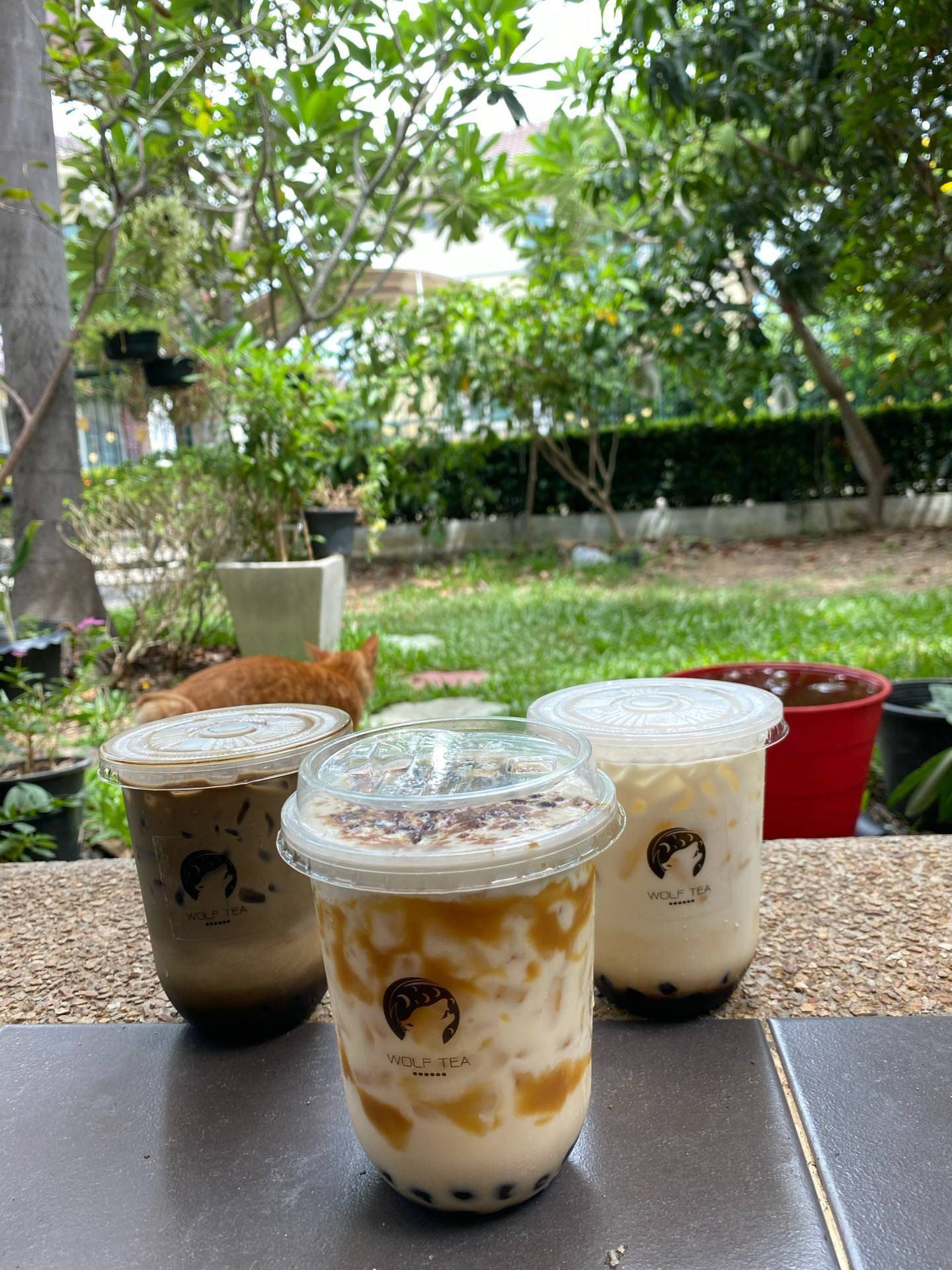 รีวิว Wolf Tea By Yim & CoCo Nightclub - อร่อยกลมกล่อมมากค่ะ ราคาไม่แพง วัตถุดิบที่ทางร้านใช้ ...