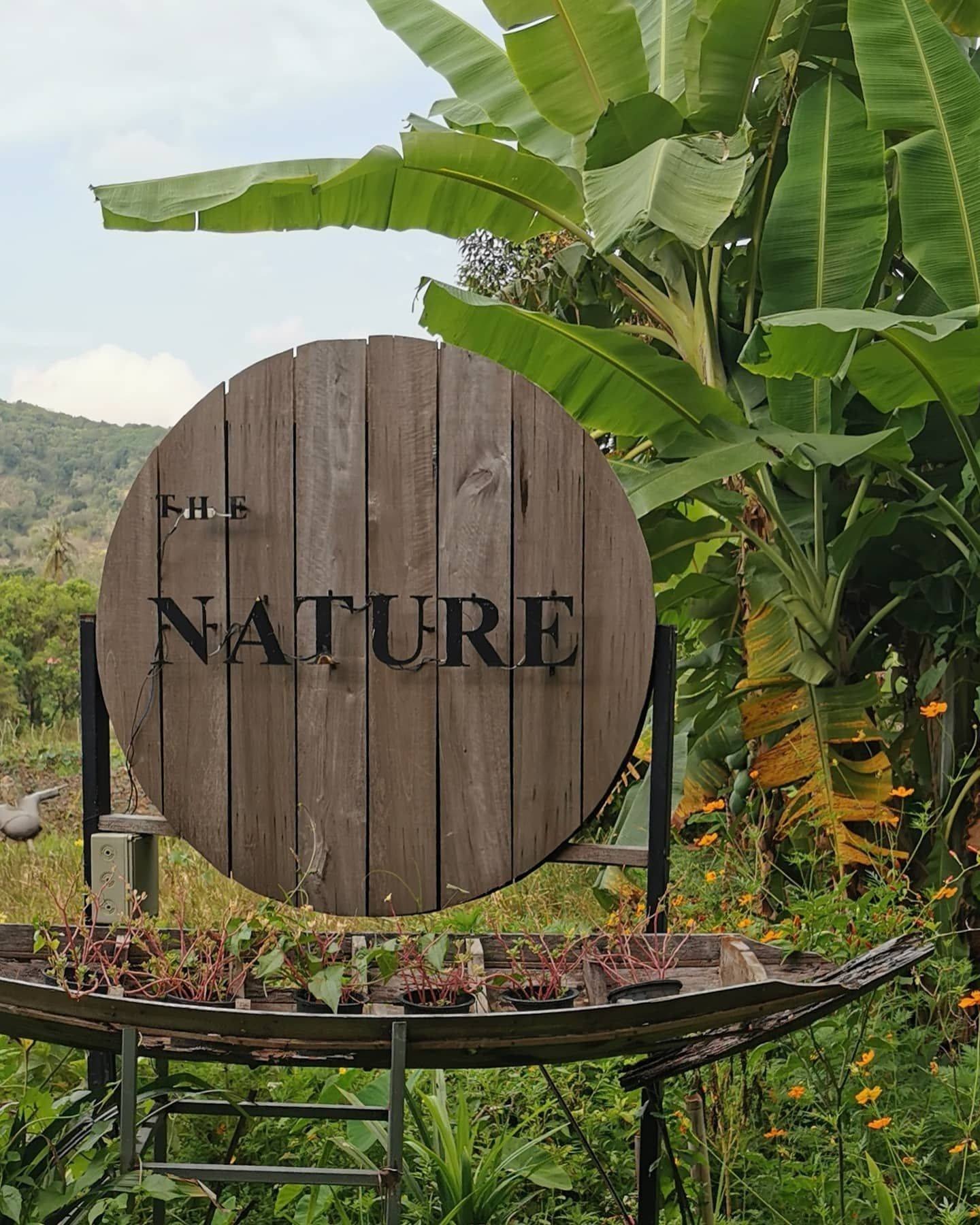 รีวิว The Nature samui เกาะสมุย - อิ่มเอมธรรมชาติ บรรยากาศบ้านสวน