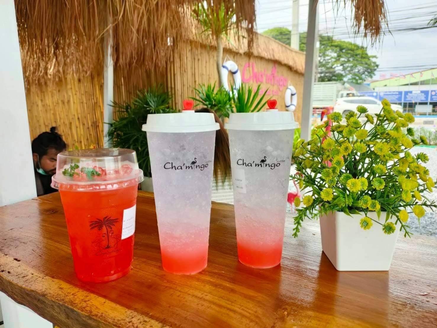 ร้าน Cha'mingo ชามิงโก้ บ้านค่ายวอร์ค | รีวิวร้านอาหาร