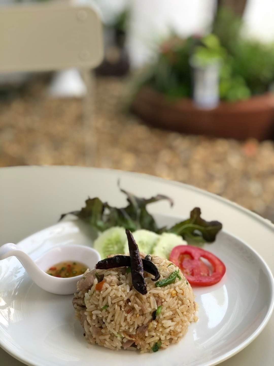 รีวิว Cafe Thai Style - อาหารอร่อย บรรยากาศดี - Wongnai