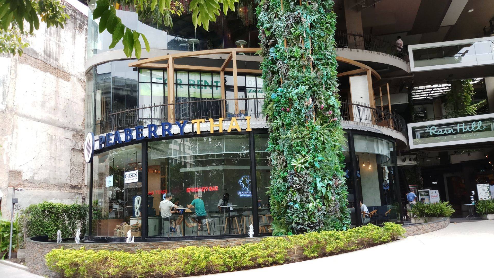 รูป PACAMARA Rain Hill