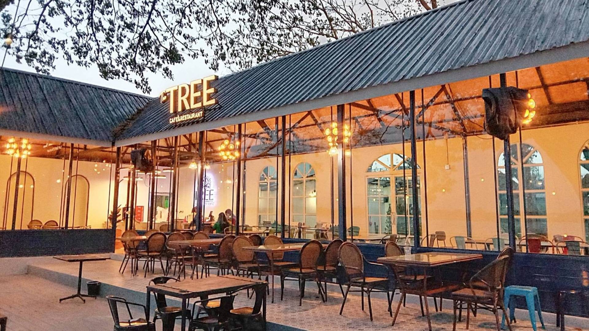 [รีวิว] ร้าน The TREE CAFE | เมนูแนะนำ รูปภาพ ราคา