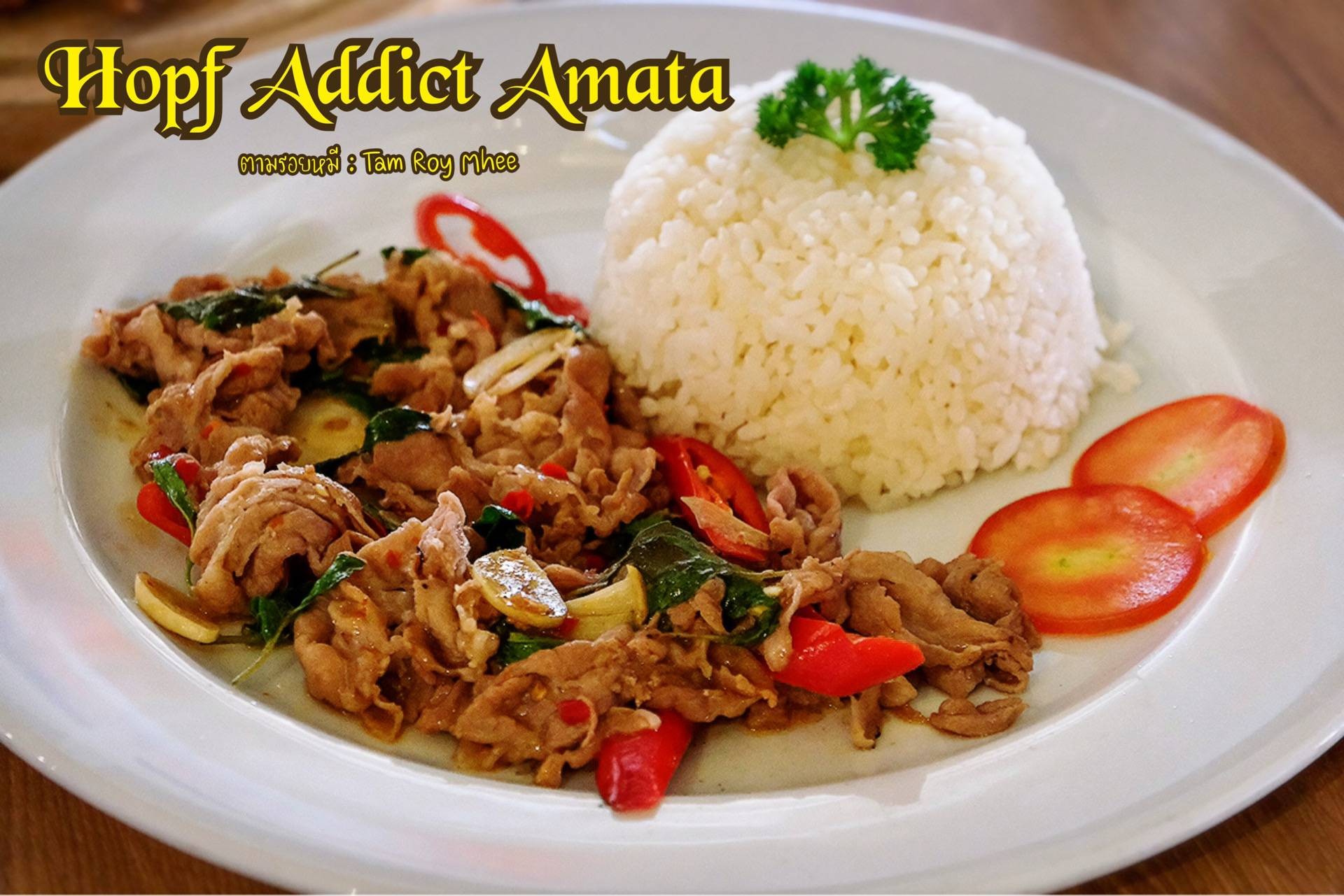 รูป Hopf Addict Amata อมตะนคร