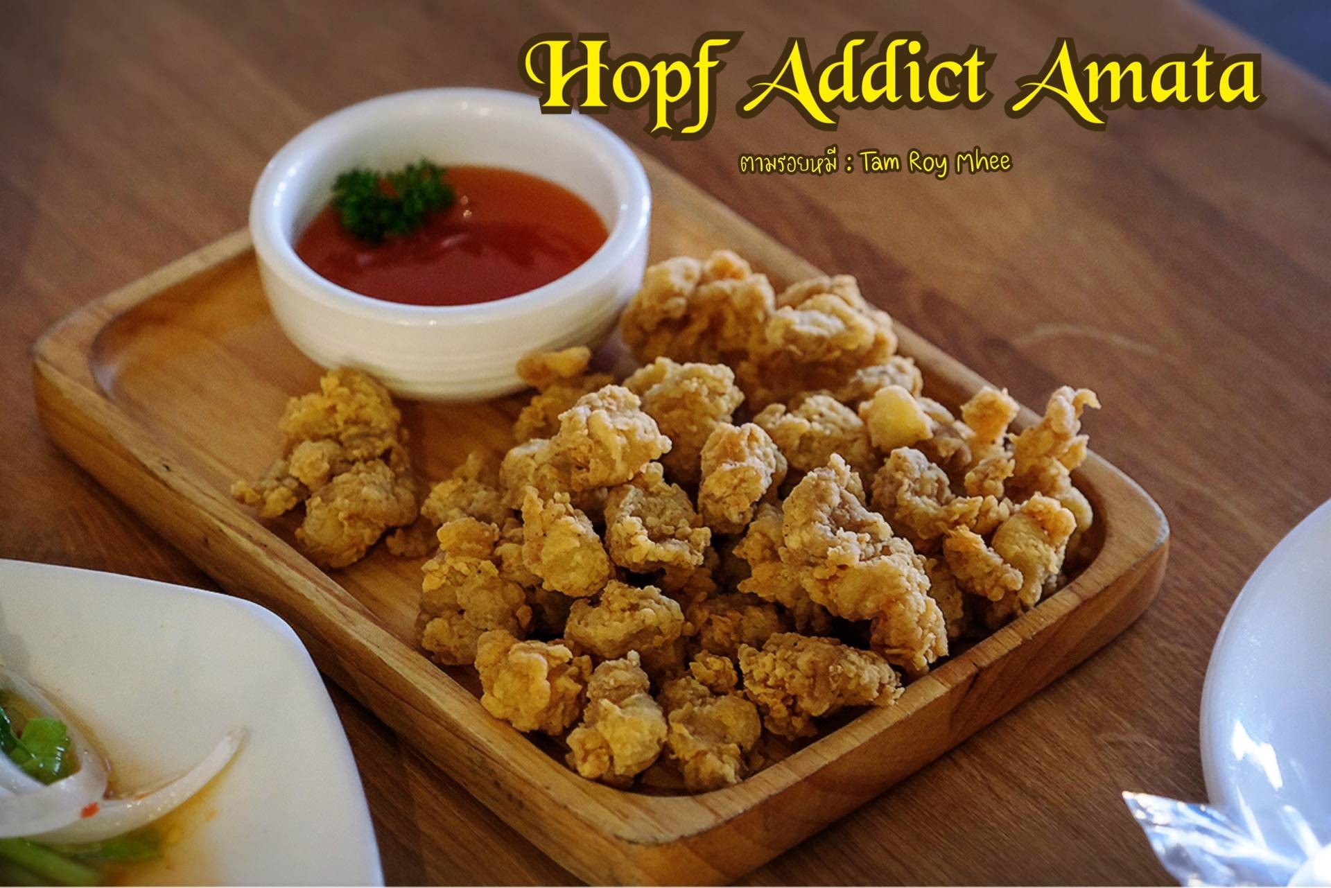 รูป Hopf Addict Amata อมตะนคร