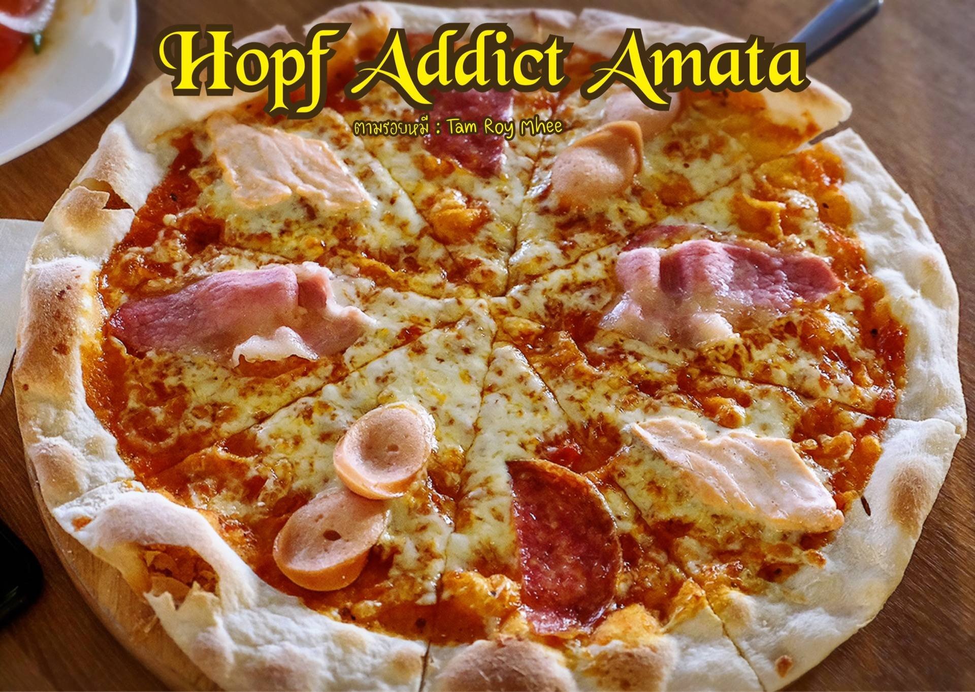 รูป Hopf Addict Amata อมตะนคร