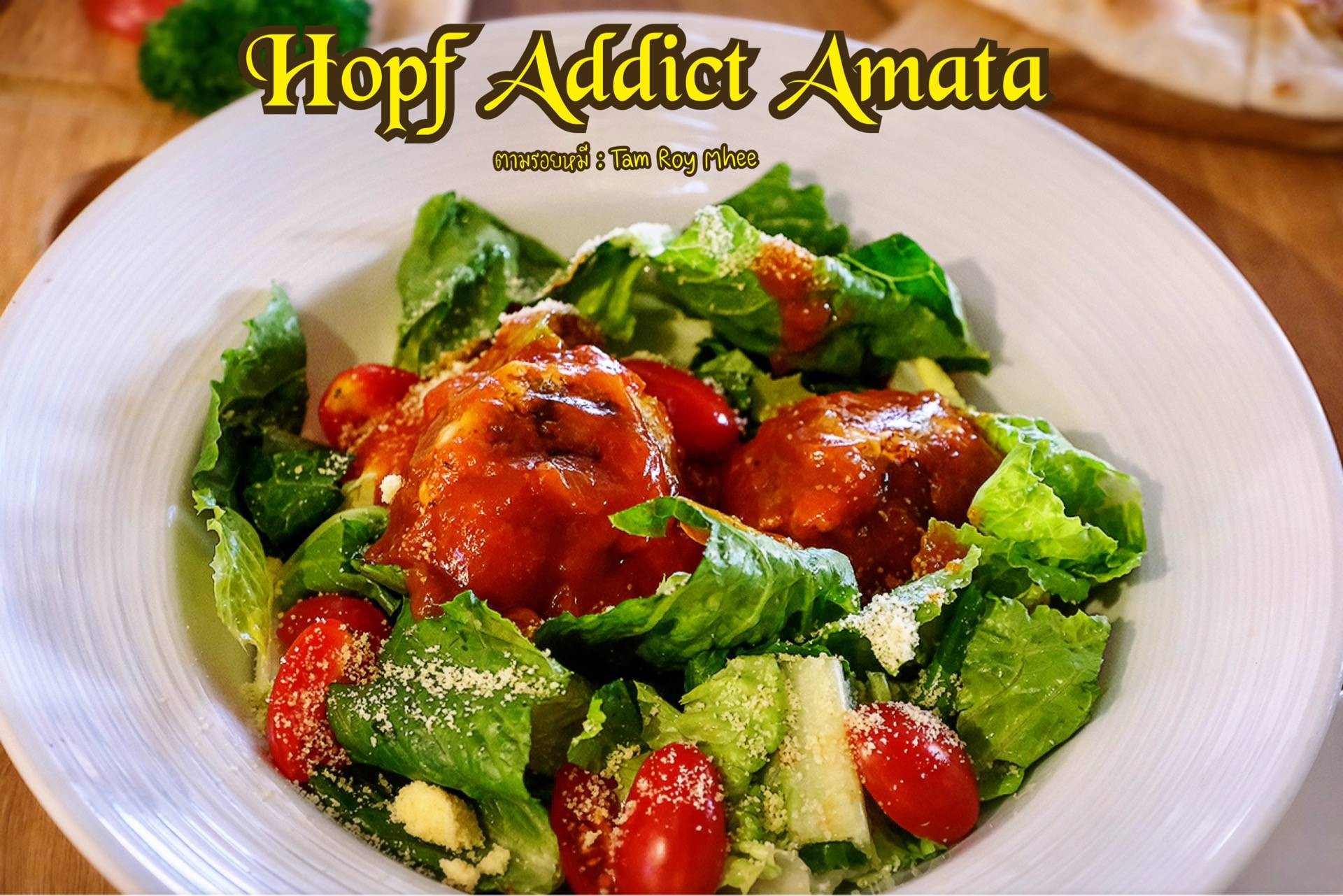 รูป Hopf Addict Amata อมตะนคร